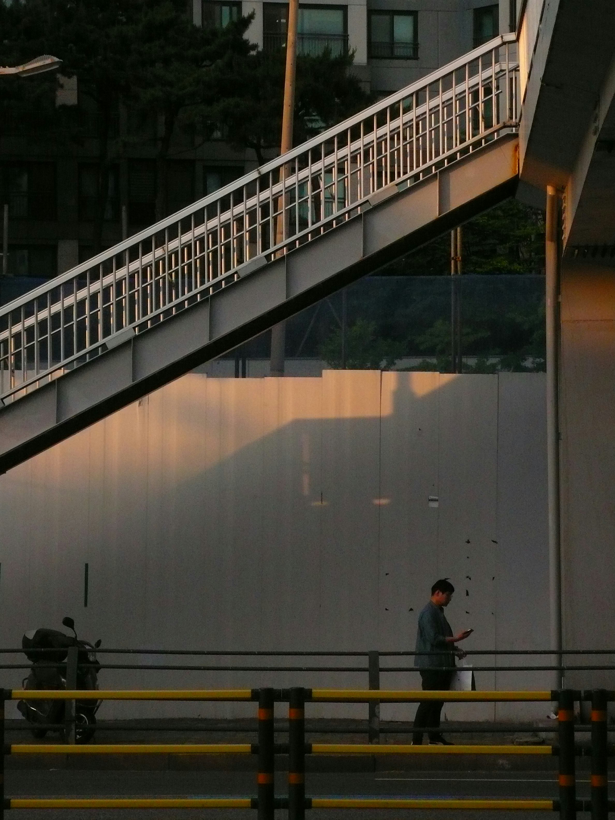Pedestrian Beneath the Overpass: Evening Light on a Quiet City Moment