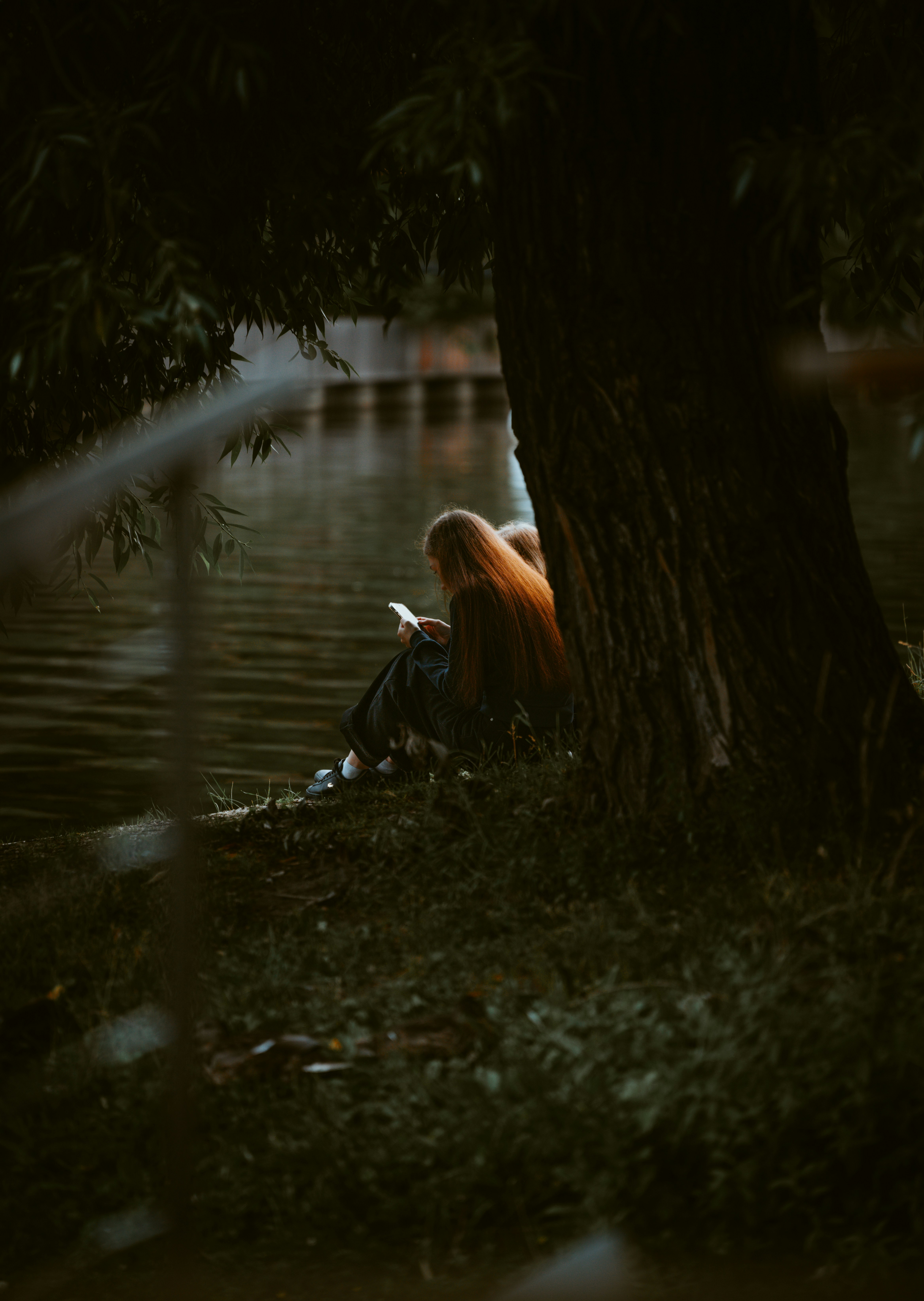 Quiet Reading by the Riverside: A Dappled Moment Under the Willow