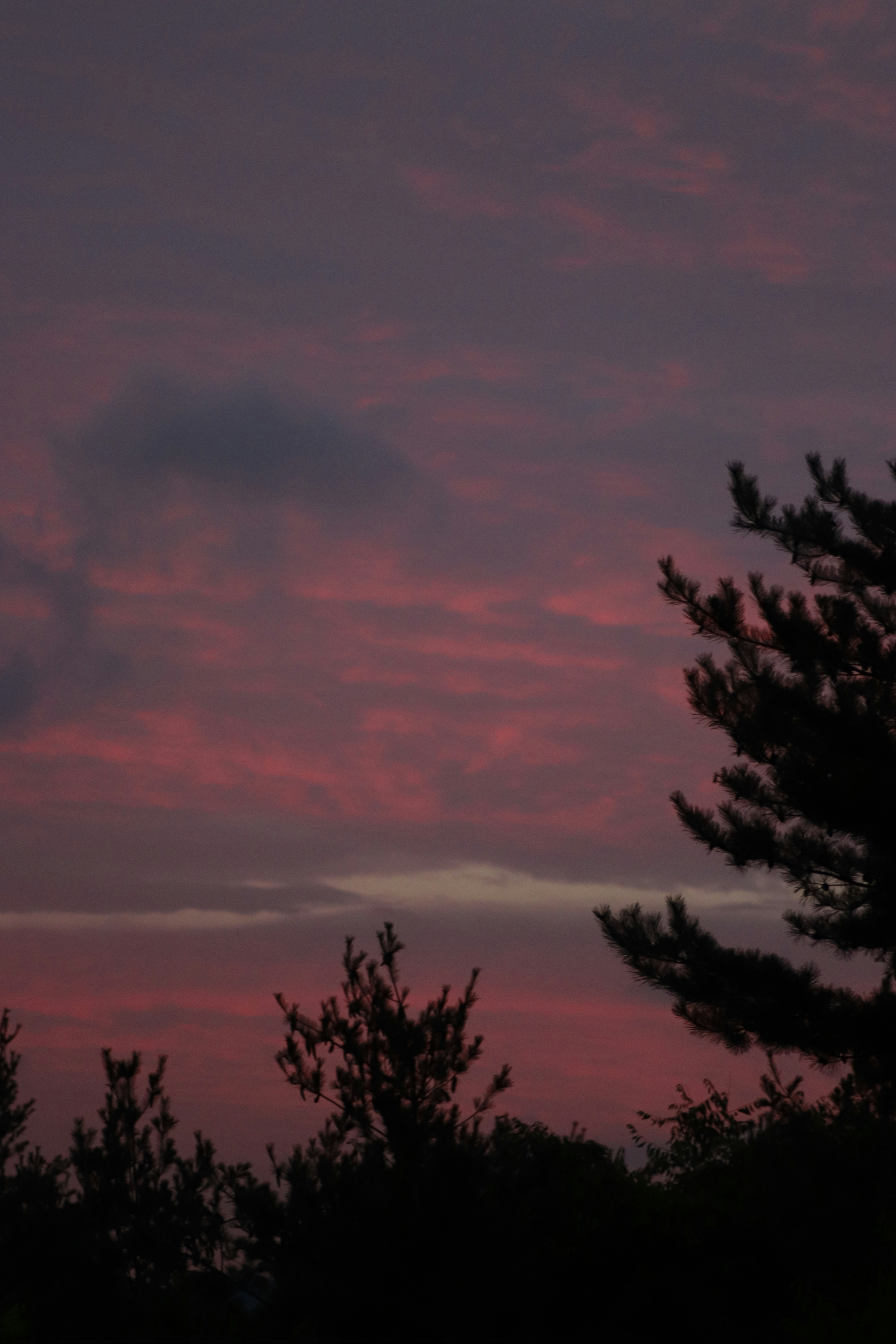 Crimson Sky Over Quiet Pines