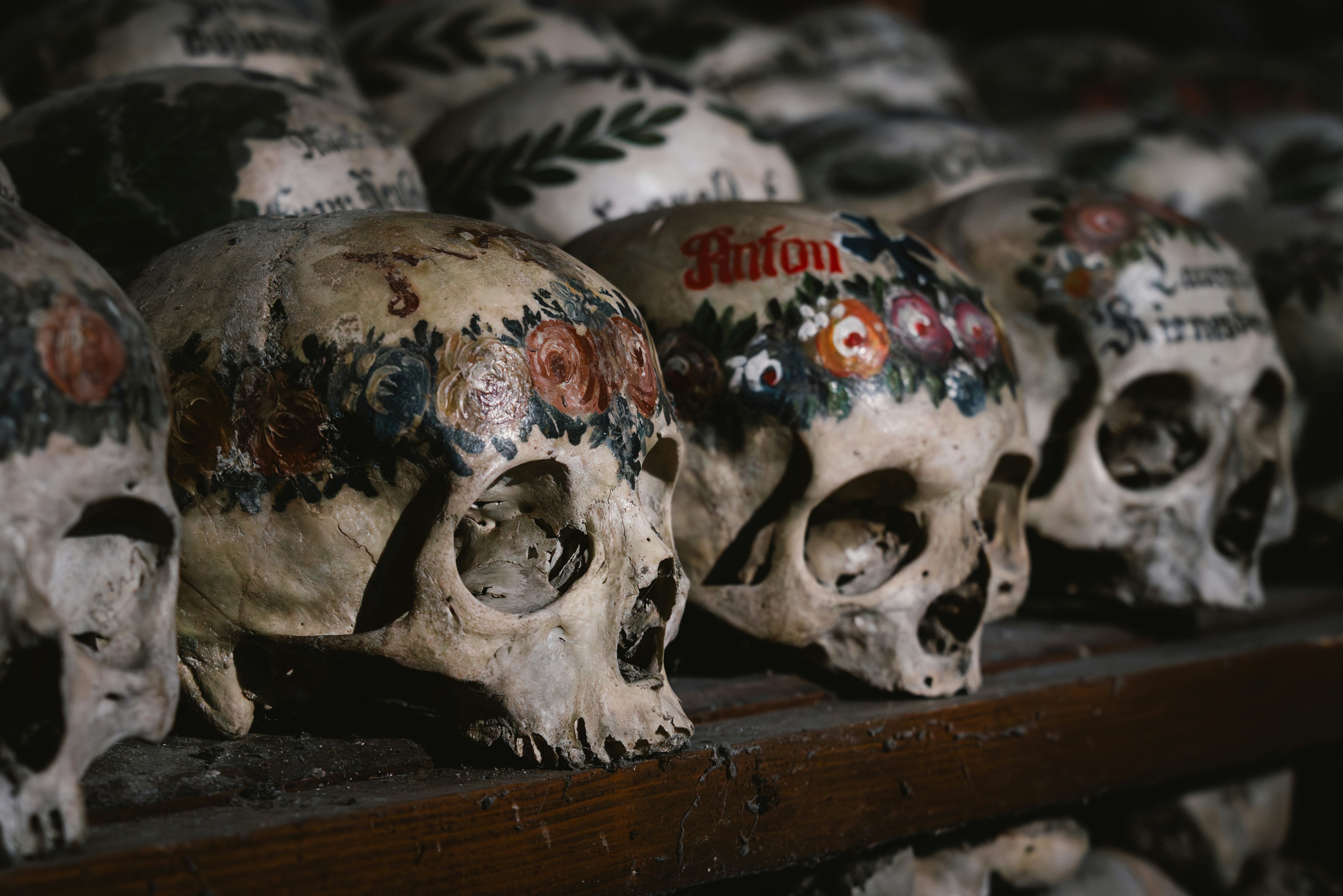 Row of Painted Skull Heads: Decayed Ritual Keepsakes on a Wooden Shelf