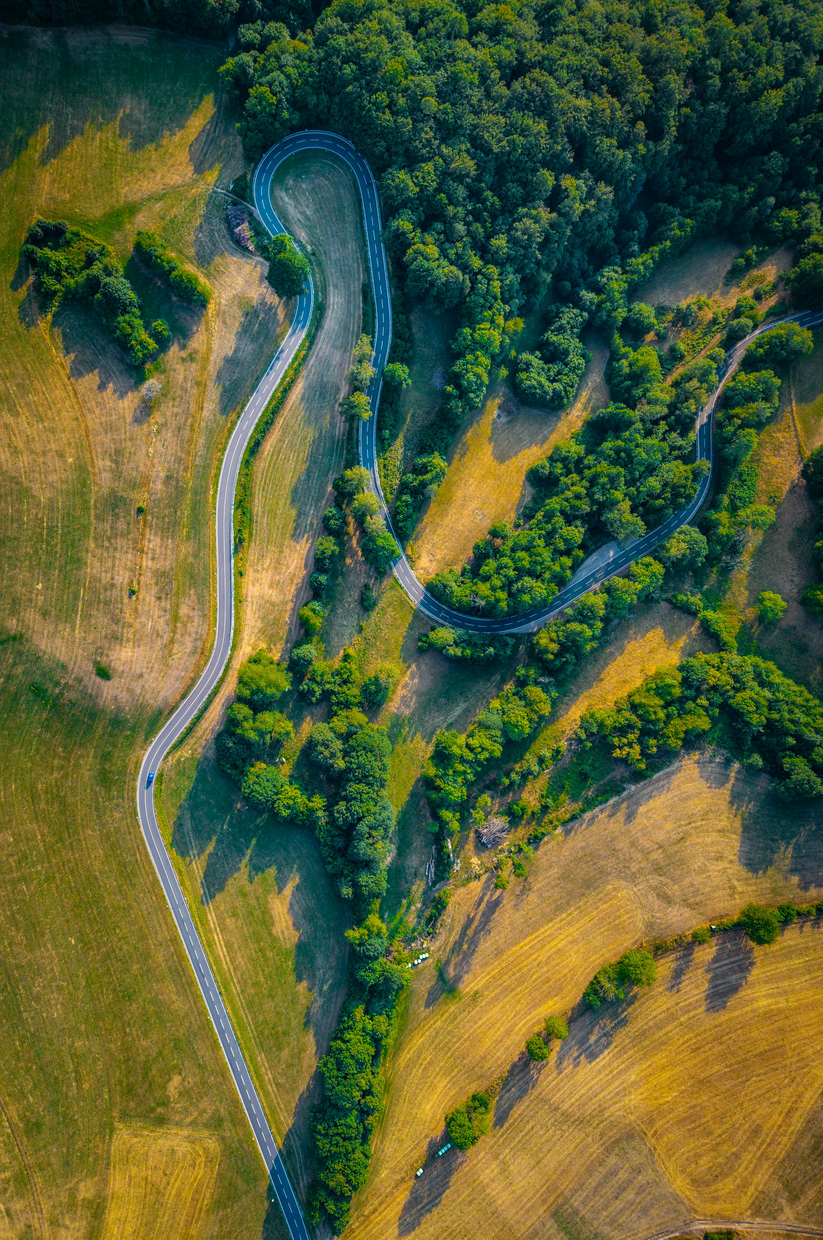 Aerial Serpent: The Winding Road Through Golden Fields