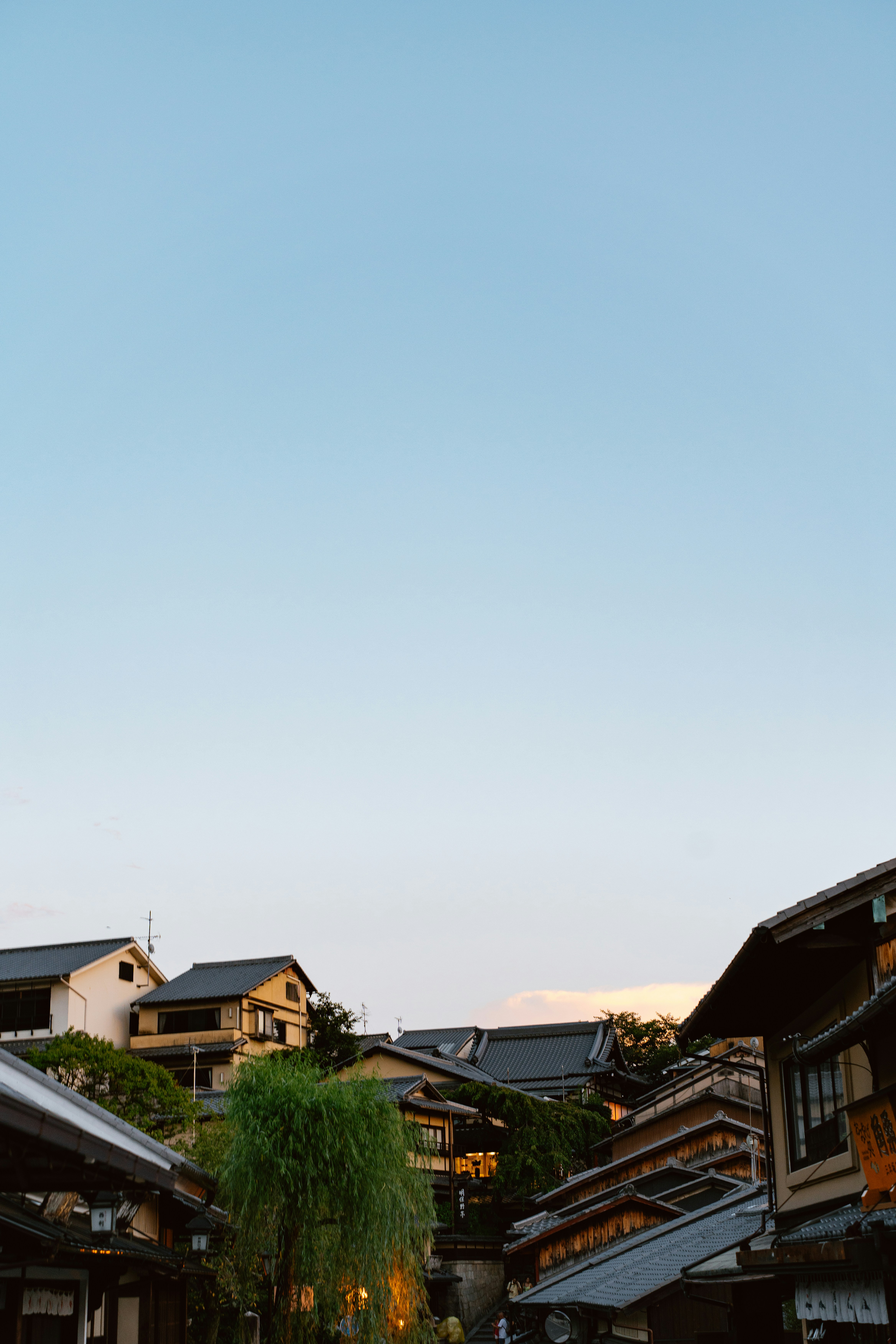 Evening Chorus Over a Quiet Edo-Style Street