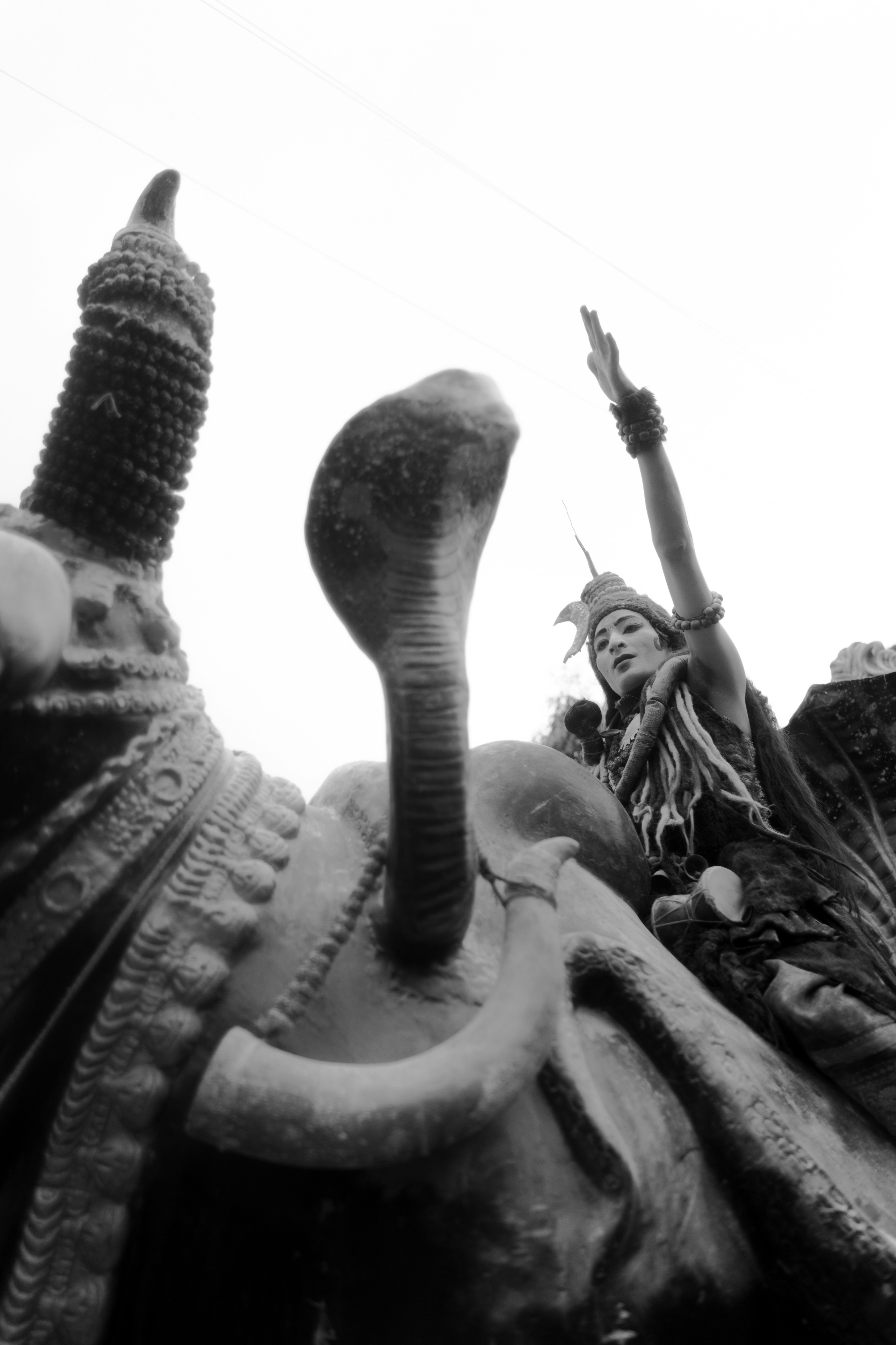 Rider of the Mythic Steed: A Shrouded Pose Beneath Elephant Armor