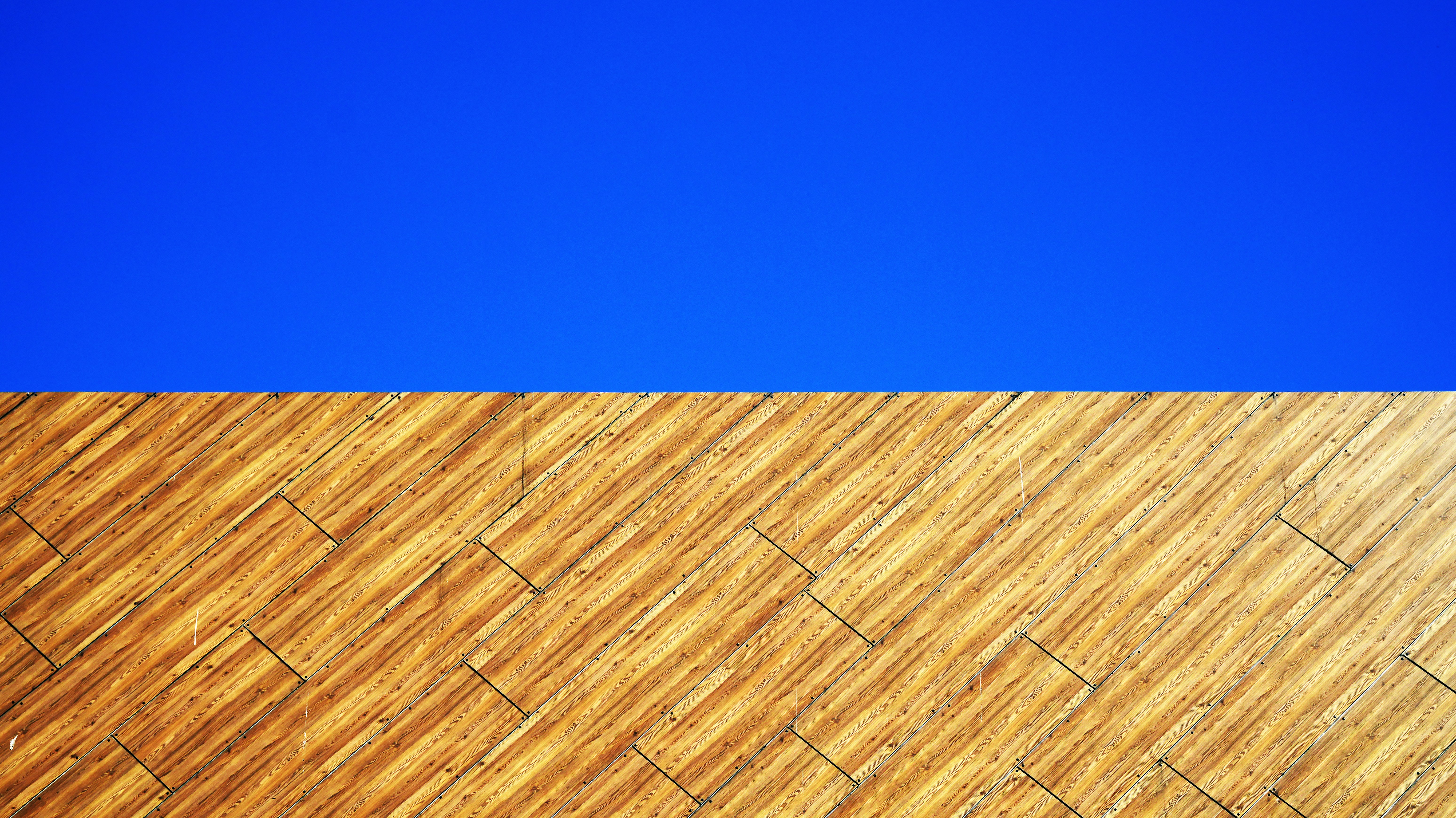 Blue Sky Above, Golden Weave Below
