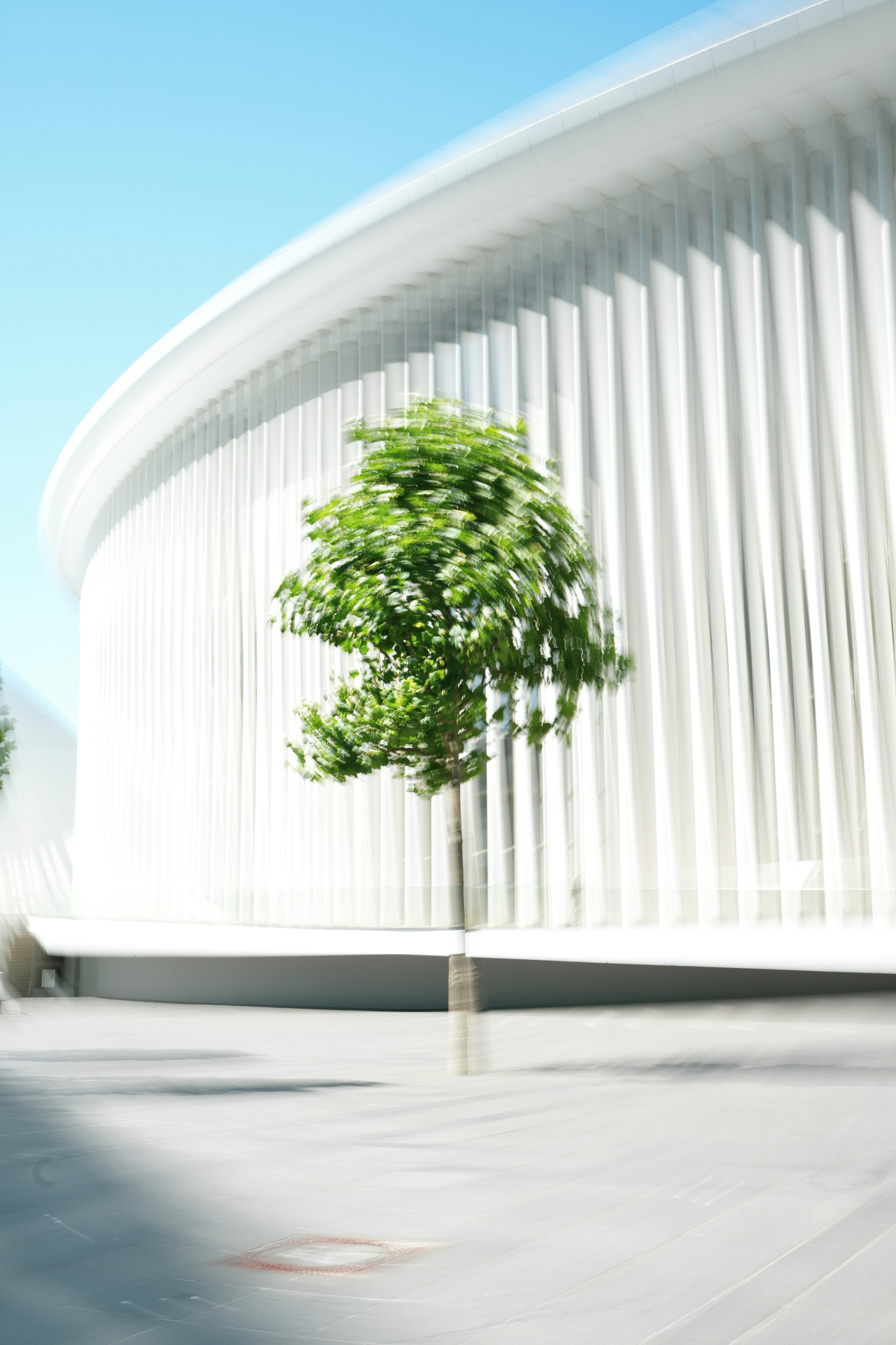 Curved Facade and Lone Tree: A Blurred Motion Portrait of Urban Calm