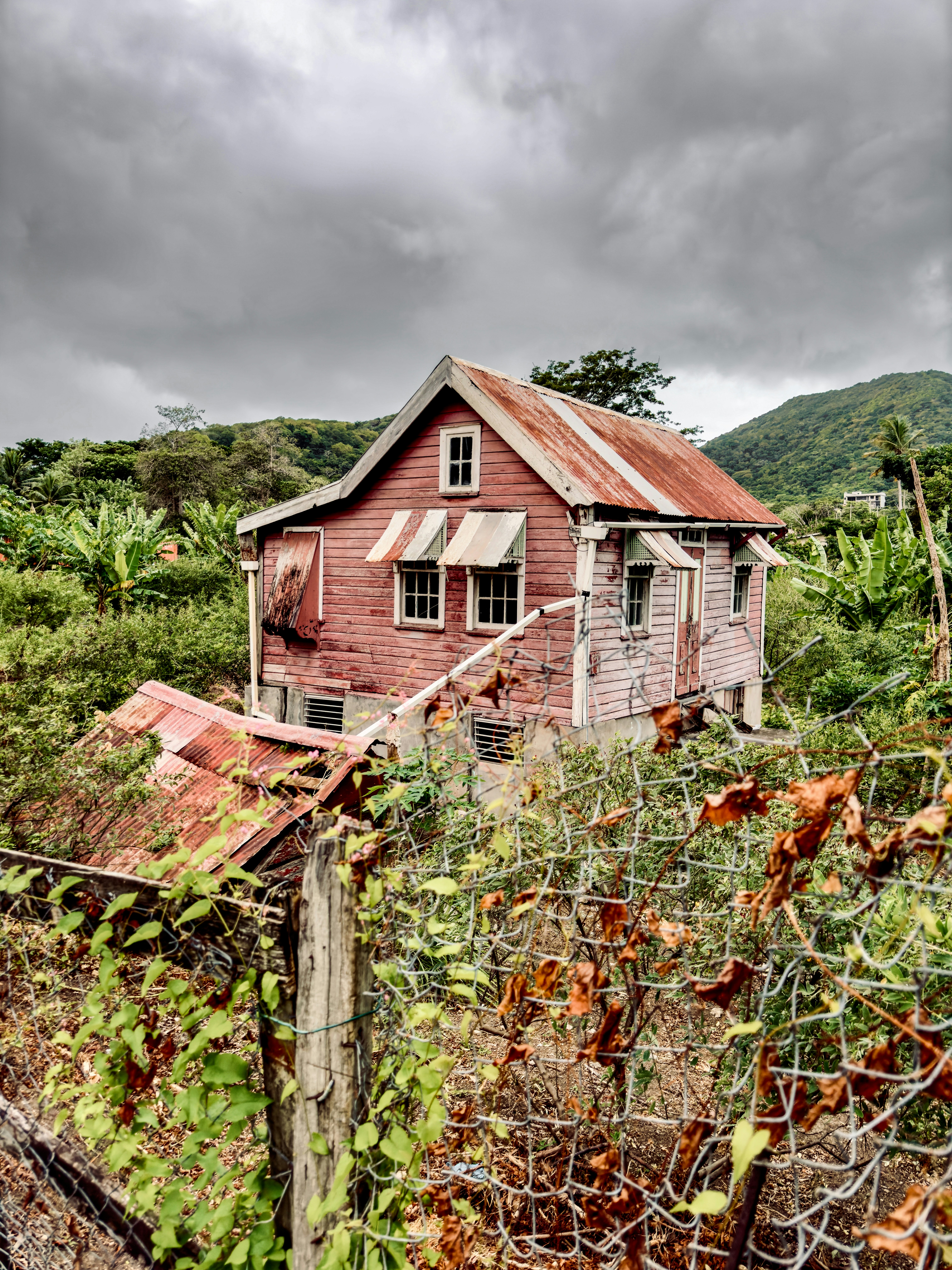Weathered red farmhouse under looming clouds amid a tangled garden