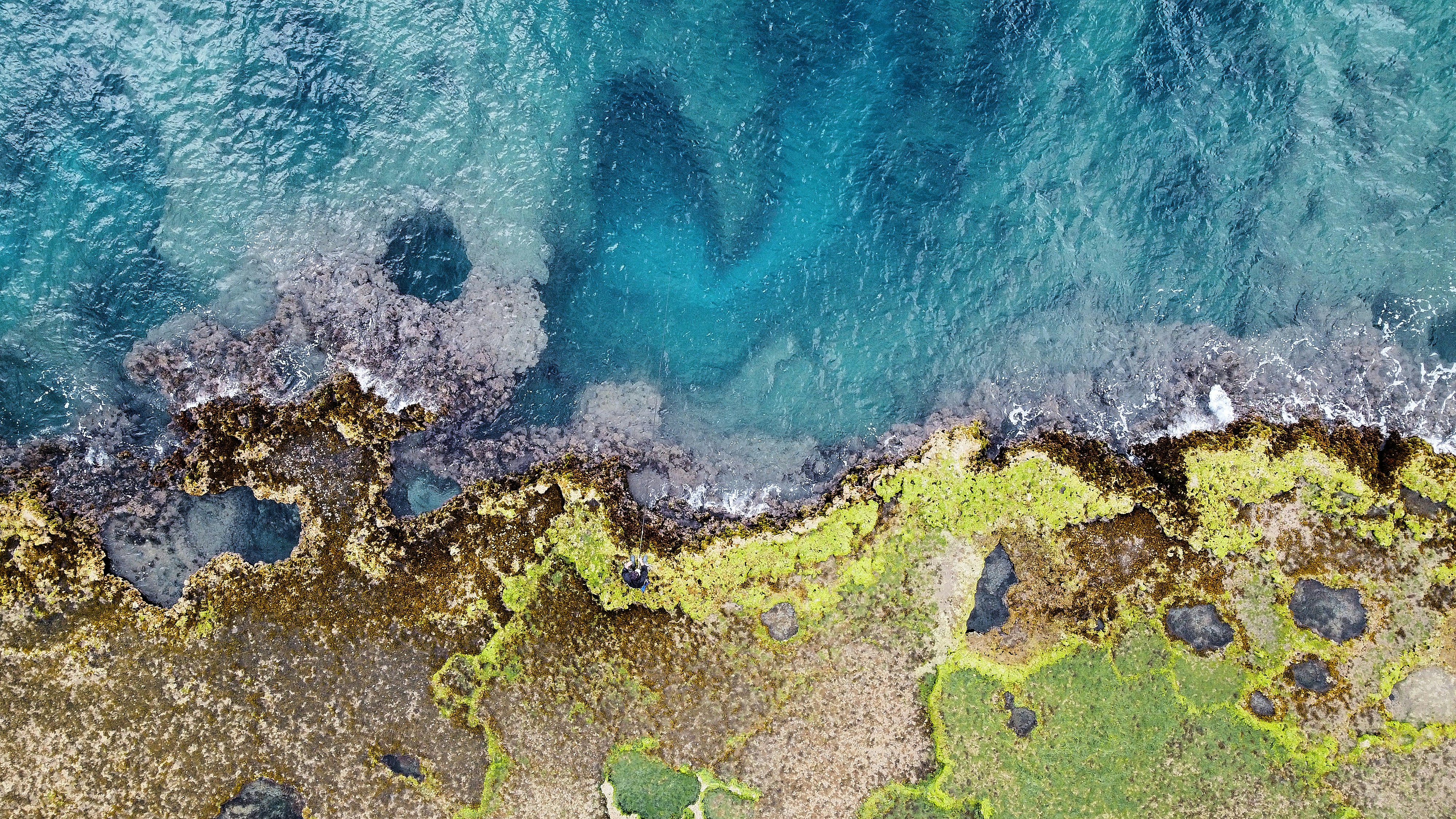 Turquoise Tide Meets Coral Ribbon: Aerial Coastline from Above