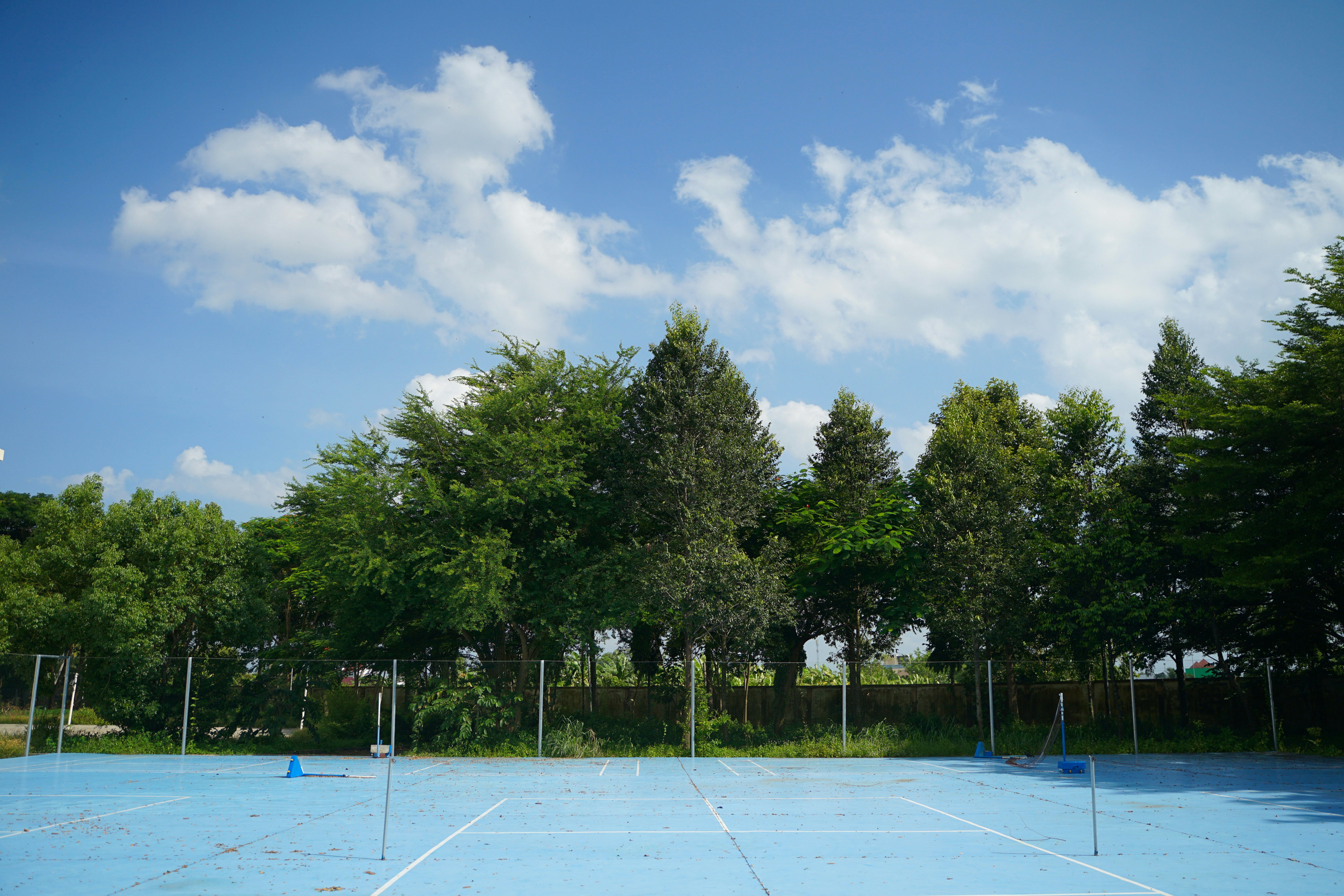 A bright blue tennis court sits beneath a row of green trees and a blue sky, with a calm, expansive scene evoking outdoor recreation and parklands.