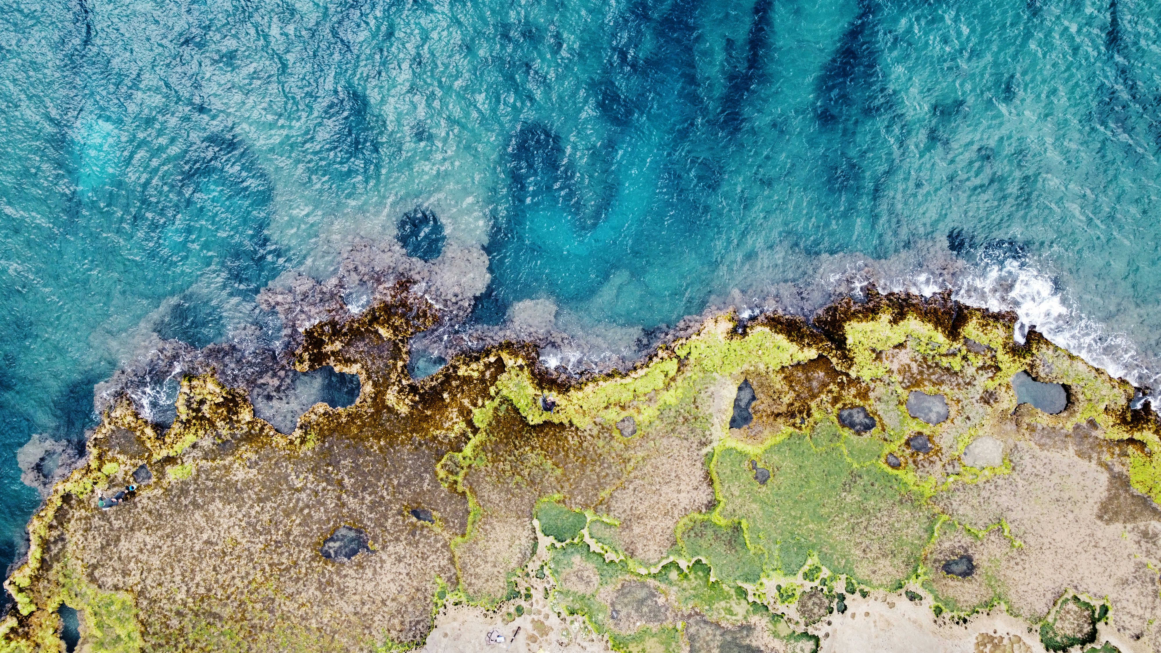 Aerial view shows turquoise sea meeting a rugged shoreline with sunlit rock and patches of green algae along the coast.
