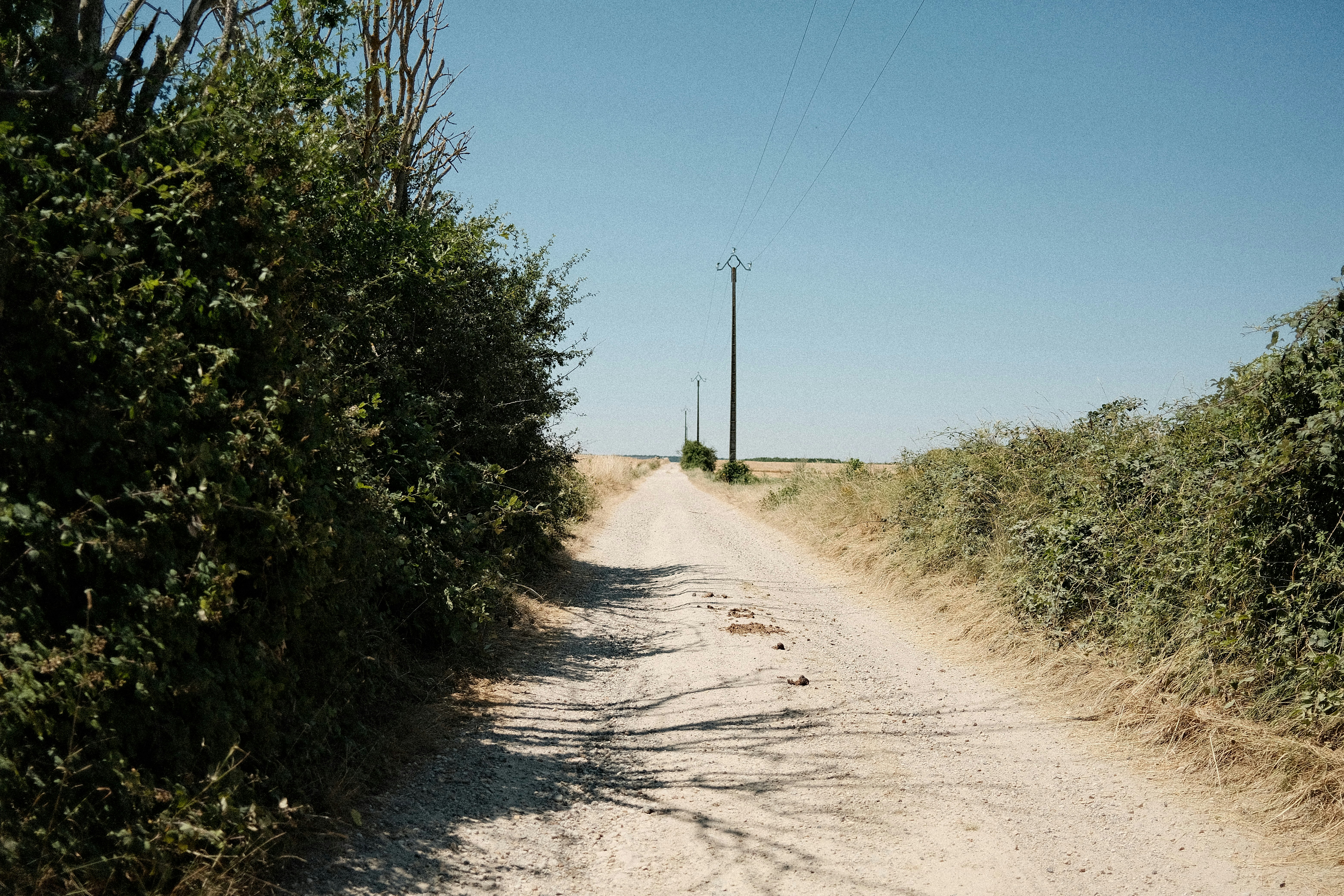 Dusty Path to Distant Pole: A Quiet Road Stretch Under Open Sky