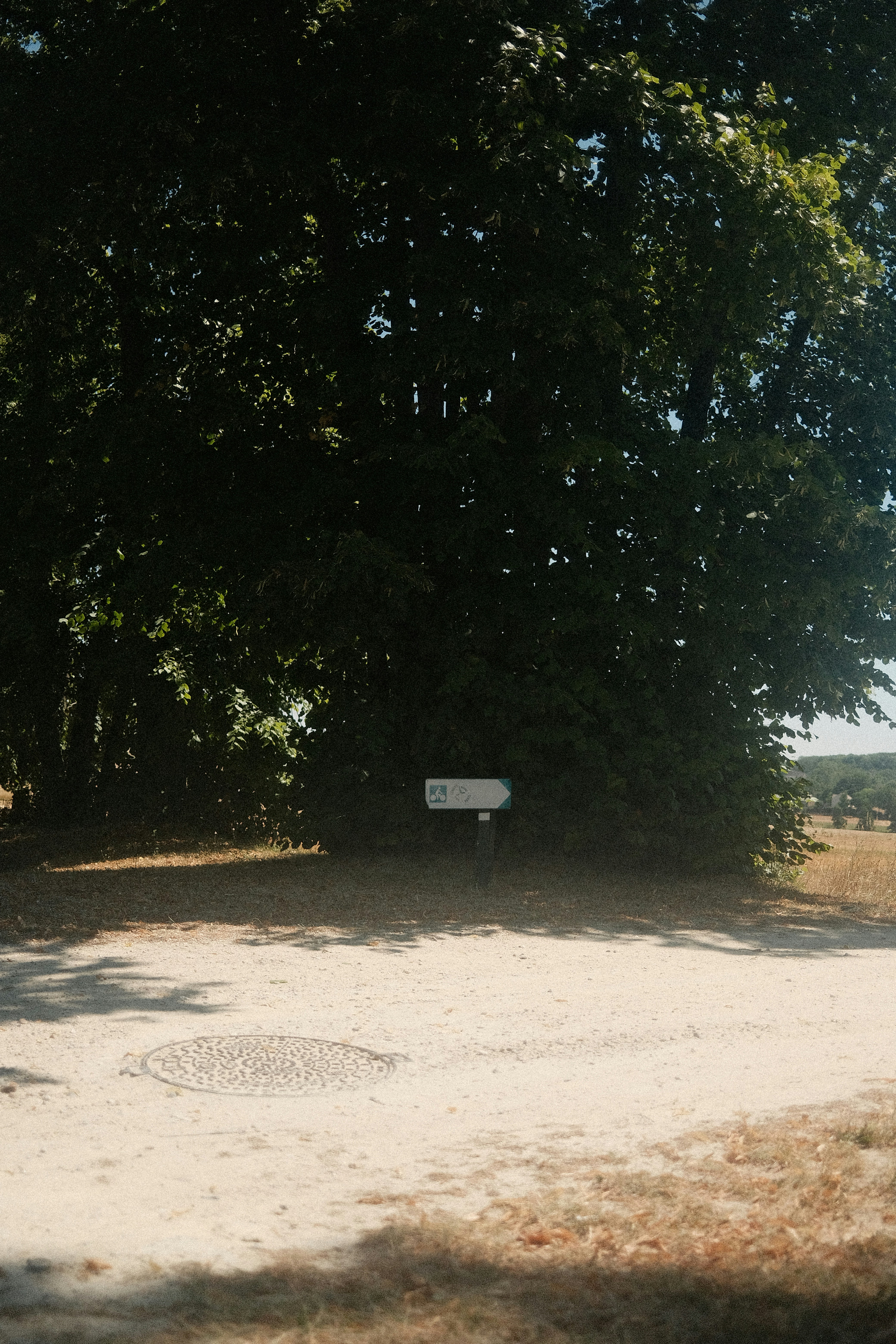 Shadowed Oak Horizon and the Signpost of Quiet Trails