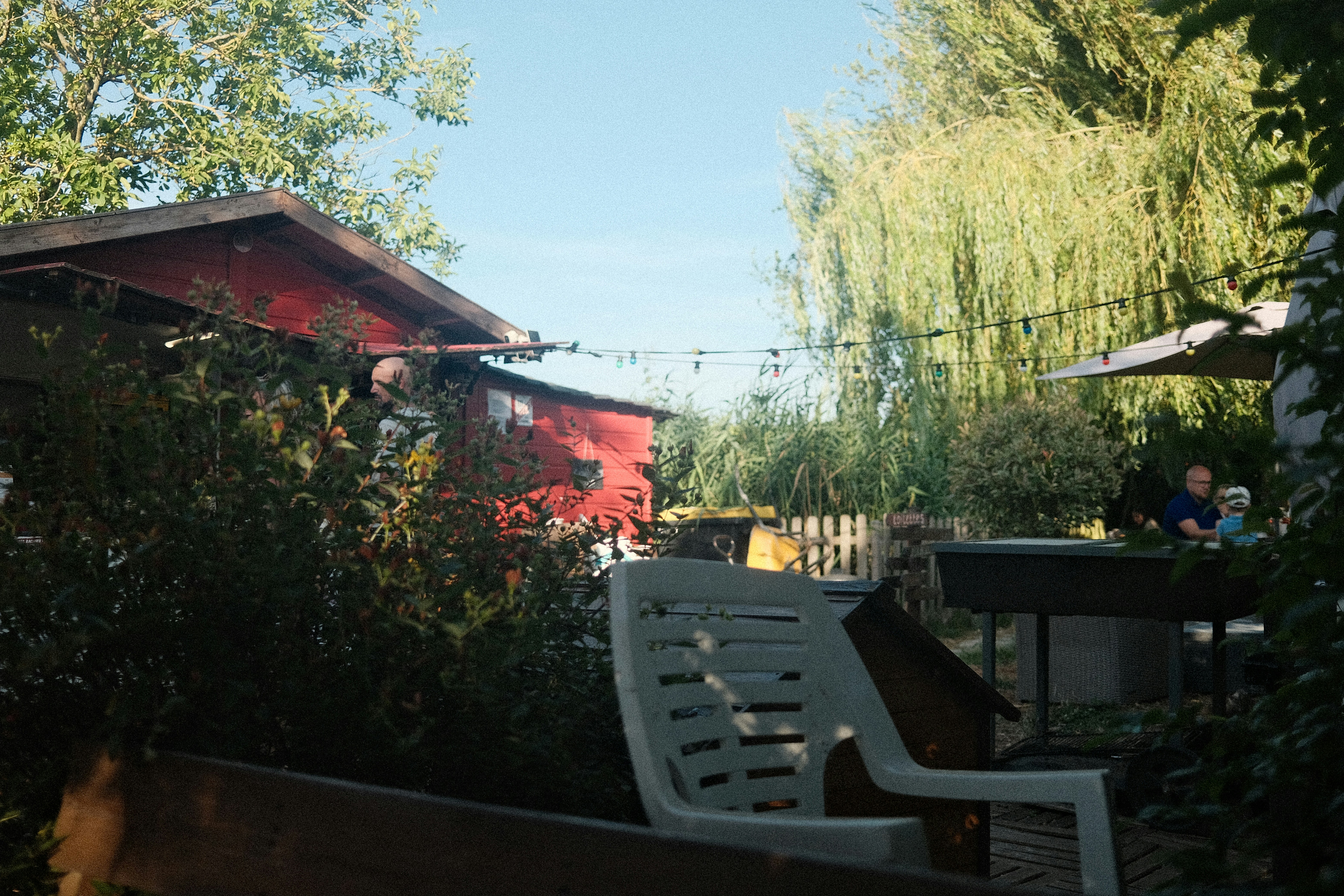 Backyard Scene: Red Barn, Patio Chair, and Garden Oasis