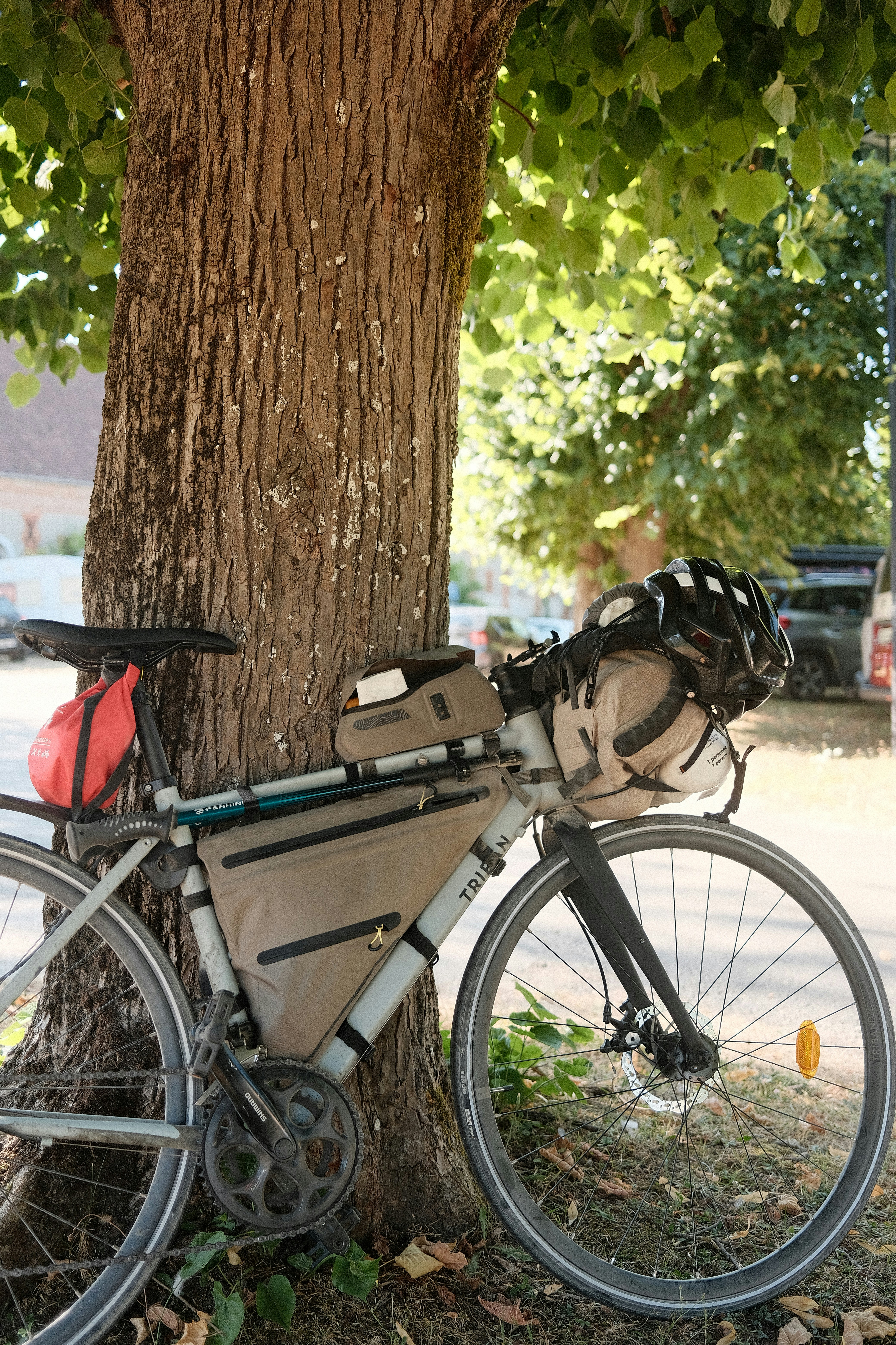 Bike Thru the Shade: A Trekking Setup by the Tree