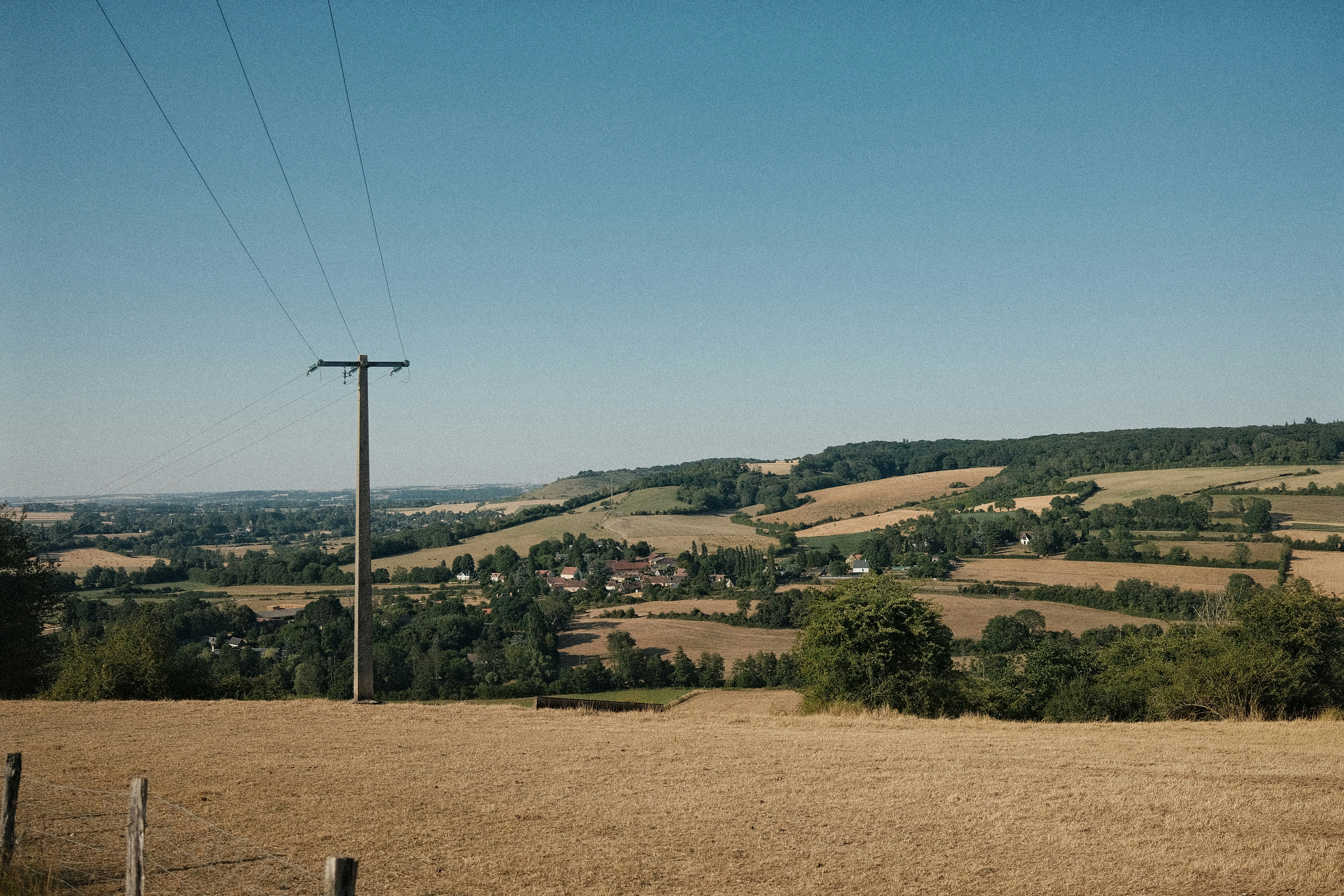 Powerline Horizon Over Rolling Harvest