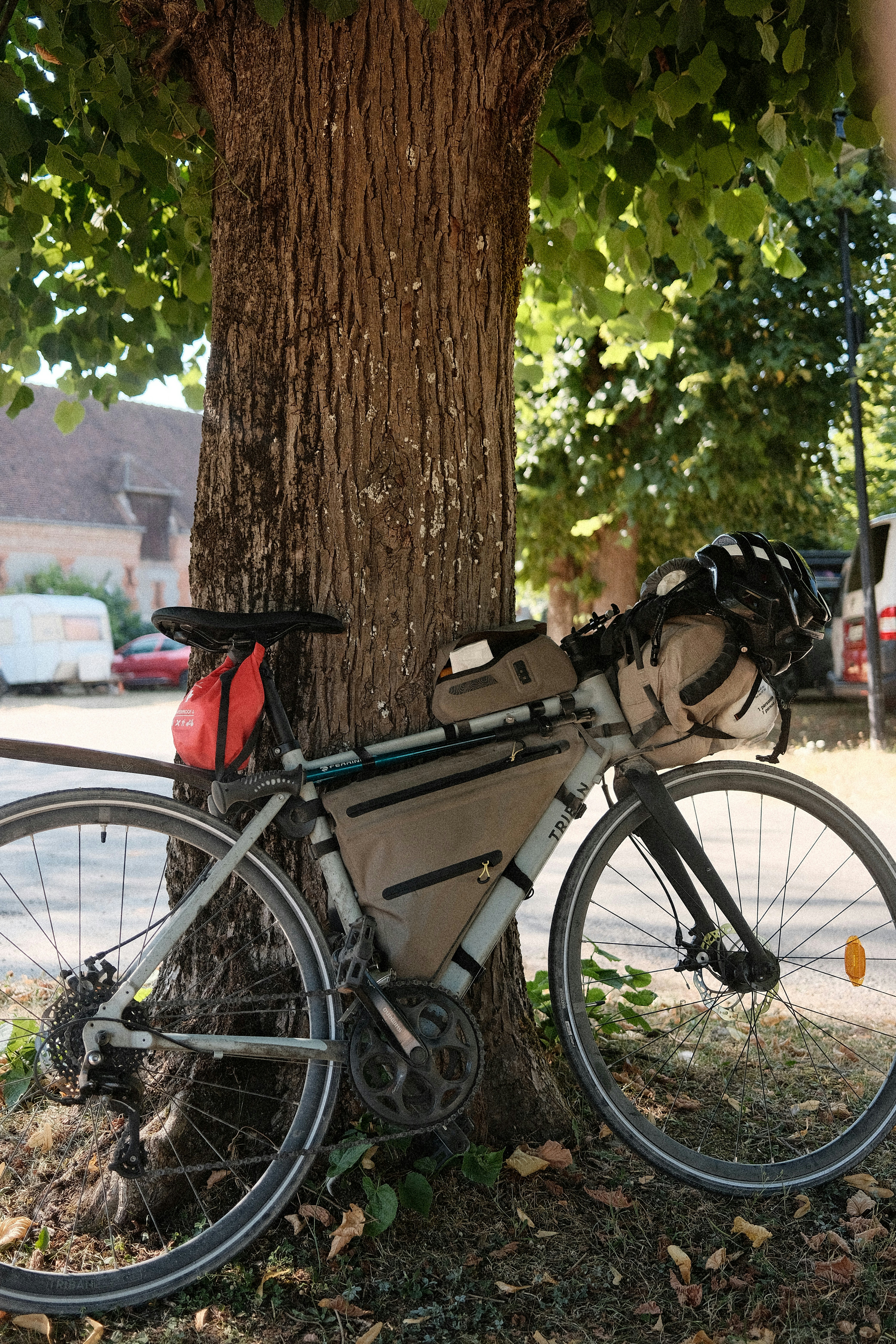 Bike Leaning Against a Trunk: A Resting Travel Setup