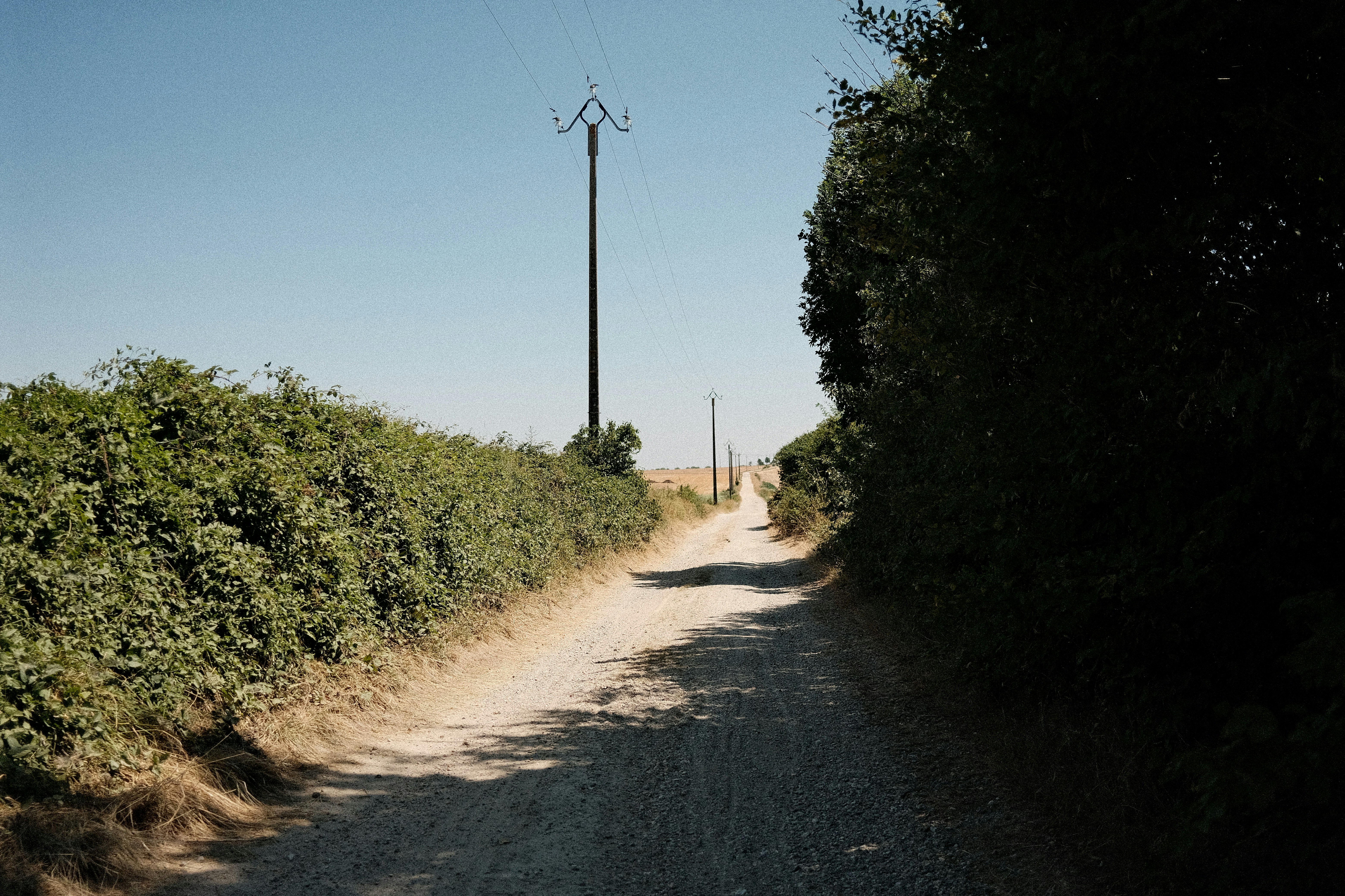 Dusty country path under a solitary utility pole