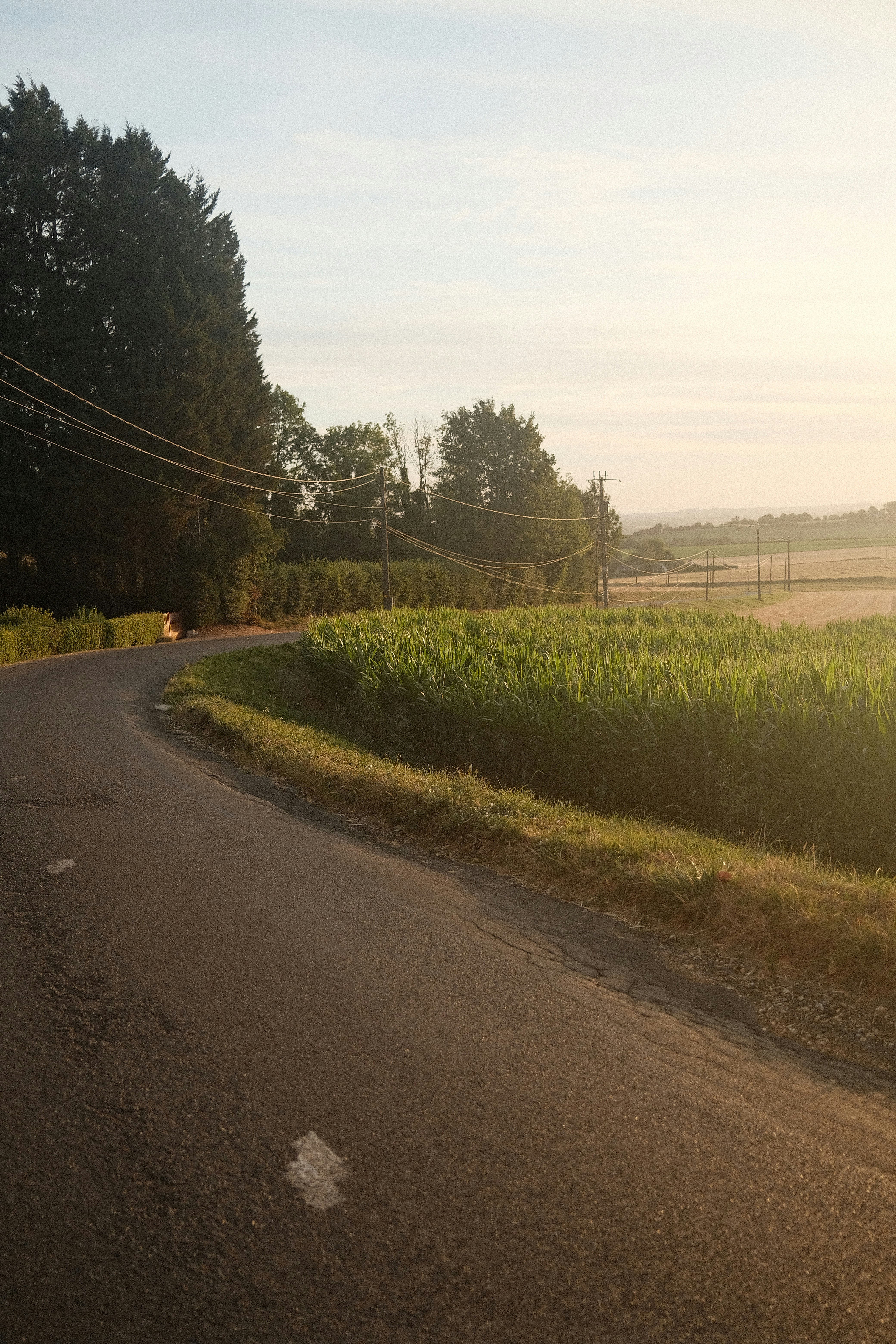 Curving Country Road Toward the Sunlit Horizon