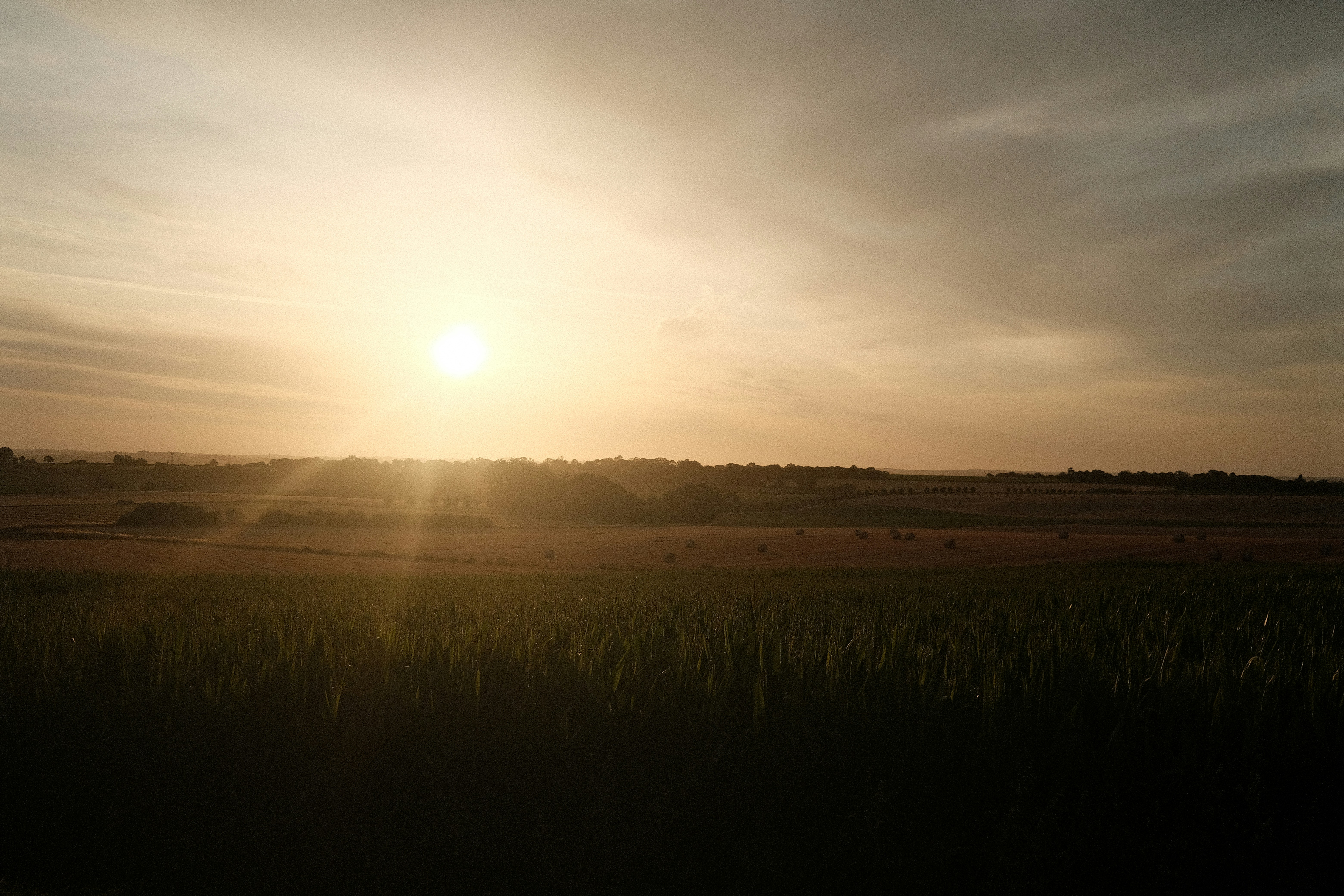 Horizon at Quiet Dawn: Sunlow Fields