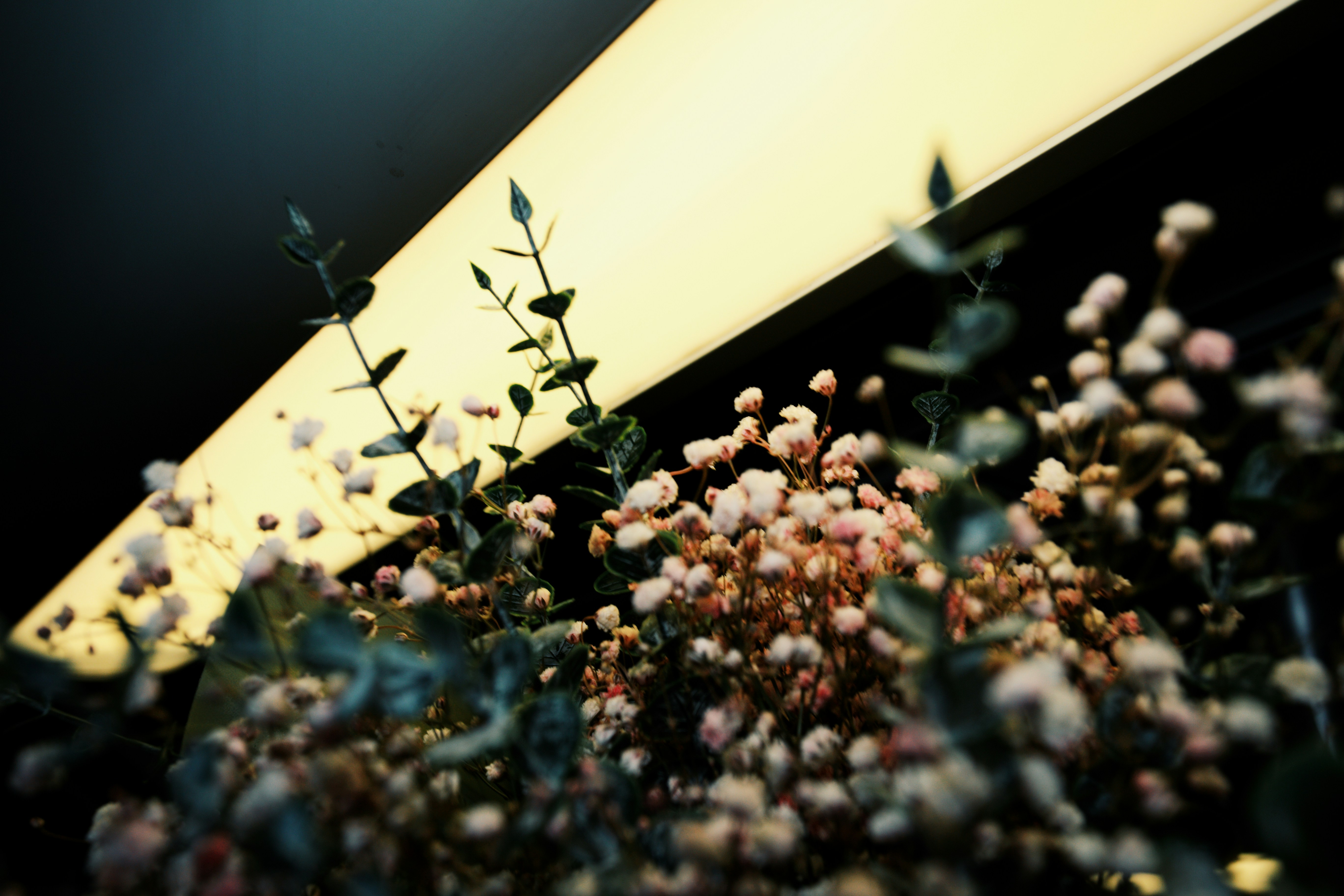Floral Confetti Under a Neon Gleam