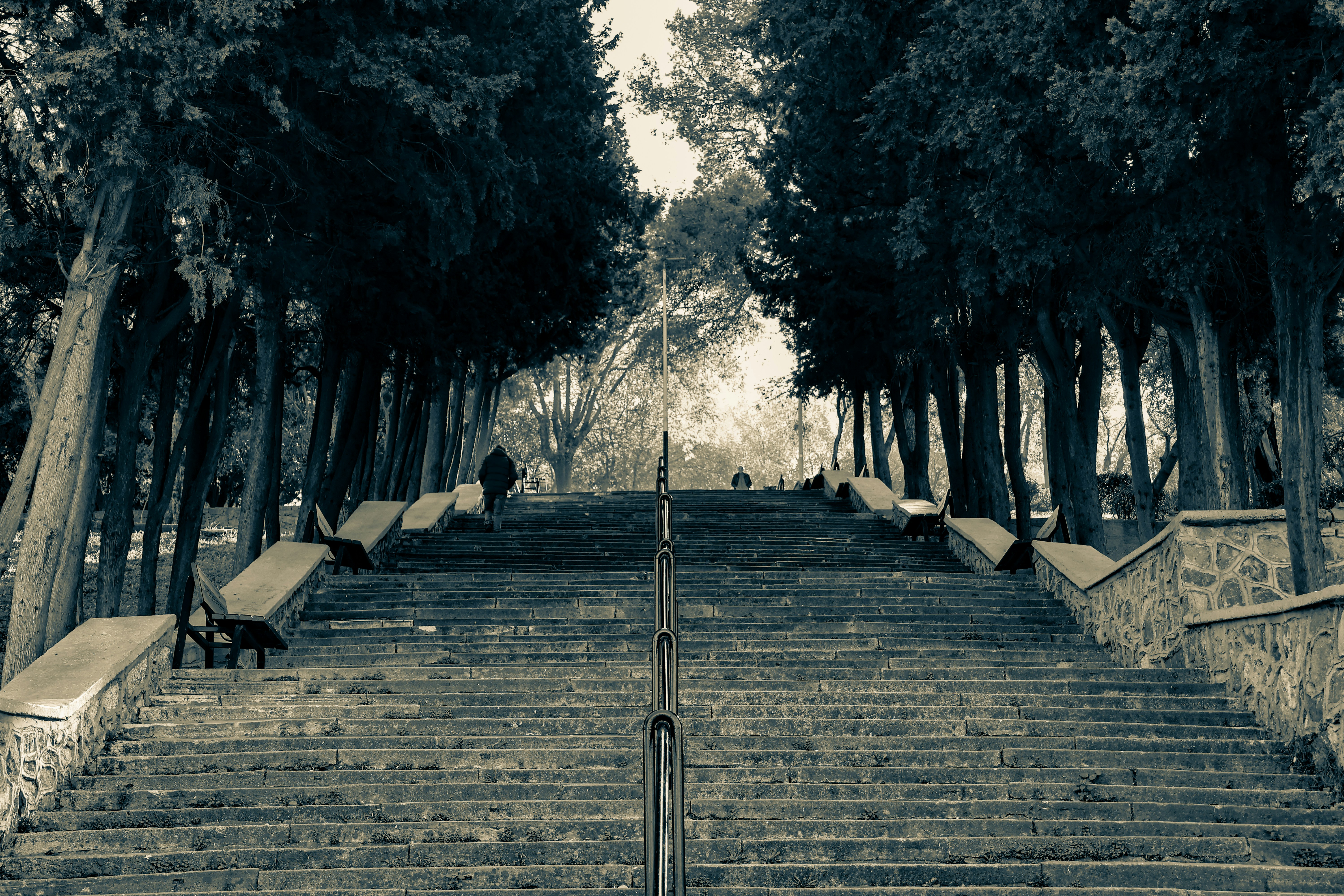 Central Ascent: A Quiet Staircase Between Tall Shadows