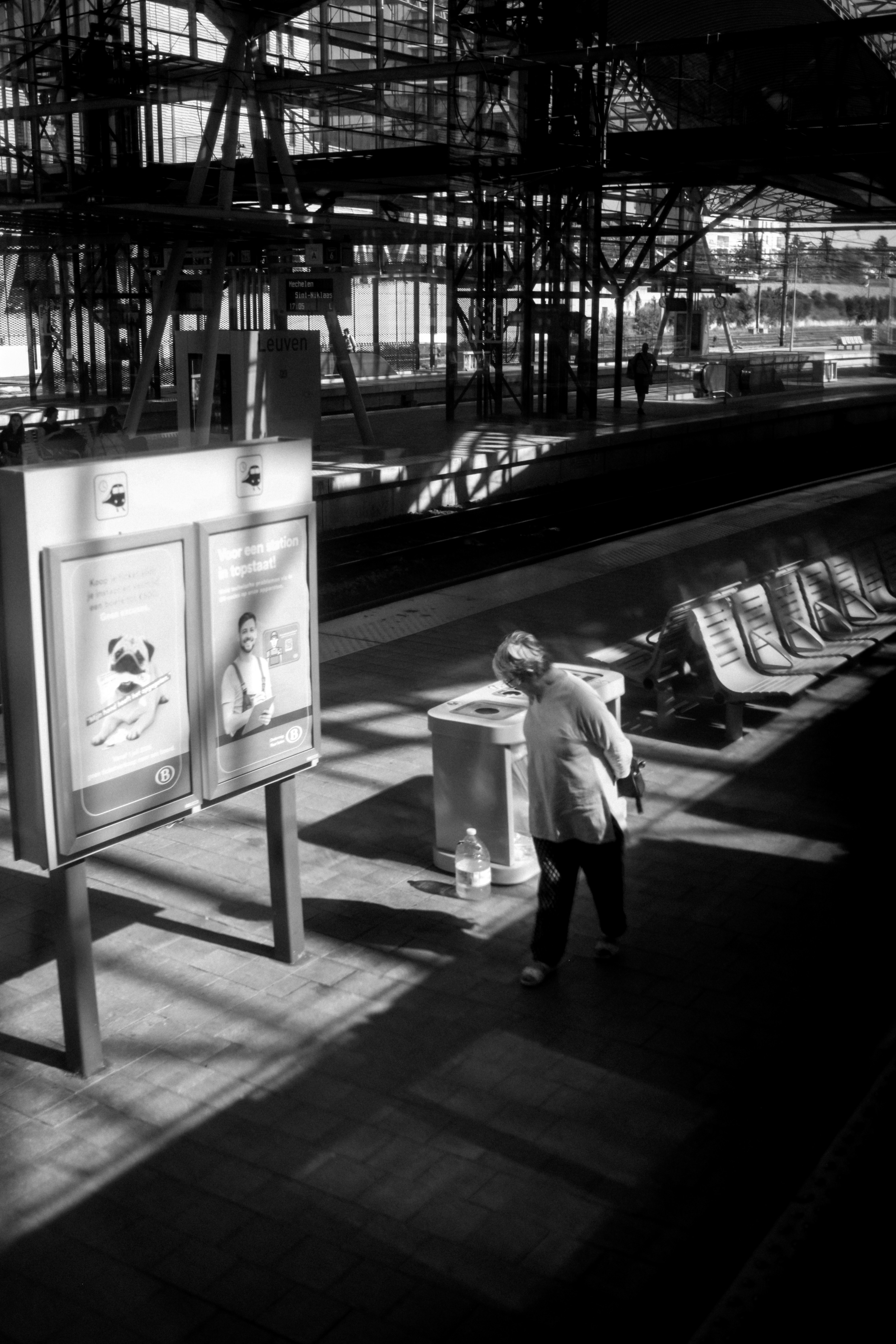 Backlit Quietude at the Platform Edge
