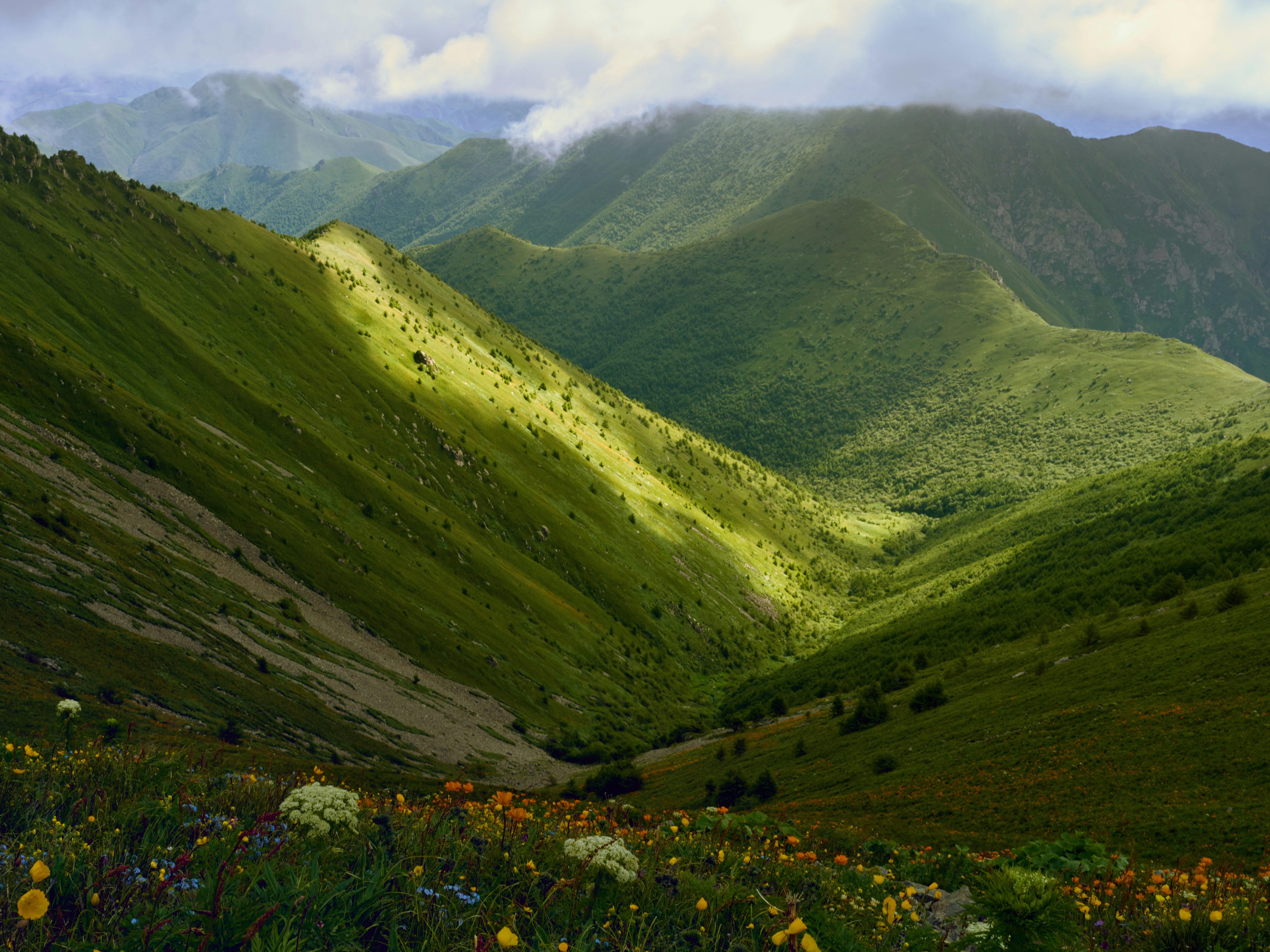 Sunlit Valley Crest: A Ribbon of Green Between Mountain Ridges