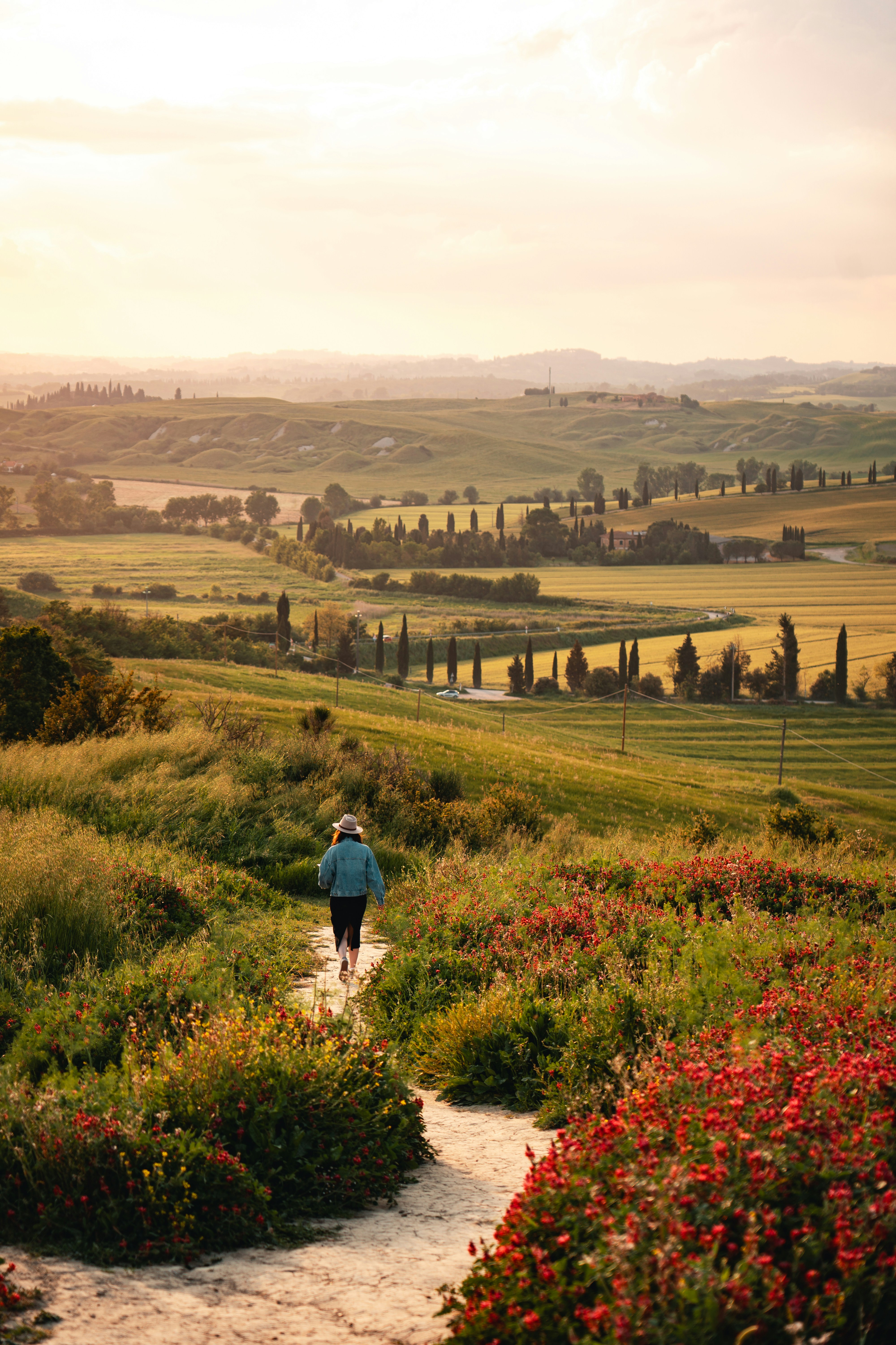 Solitary Wanderer Through a Blooming Tuscan Path at Dusk