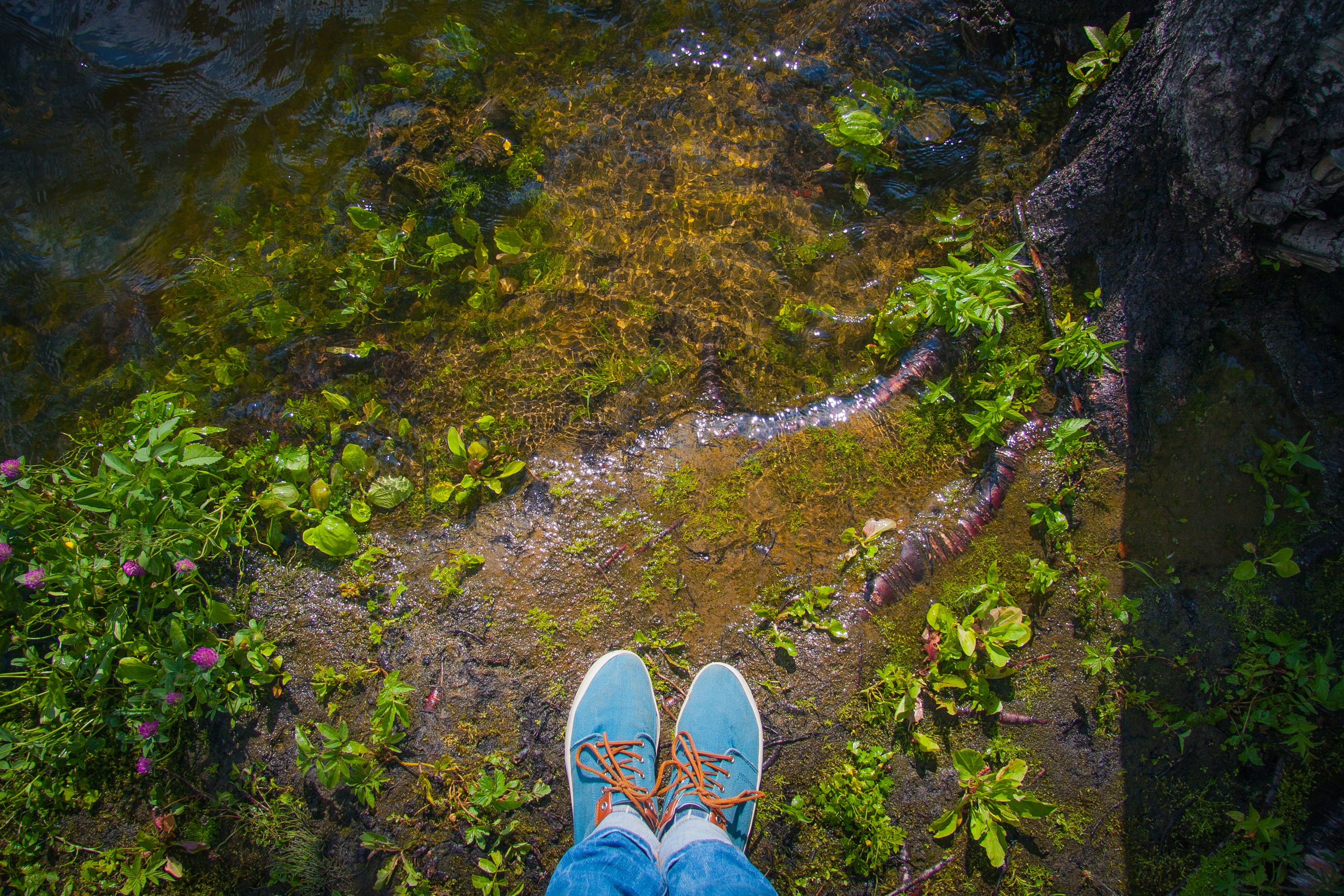 Shoes stand at the edge of a mossy, shallow stream with green foliage reflecting in the water. A grounded moment captures the perspective from the wearer’s viewpoint near the water’s edge.
