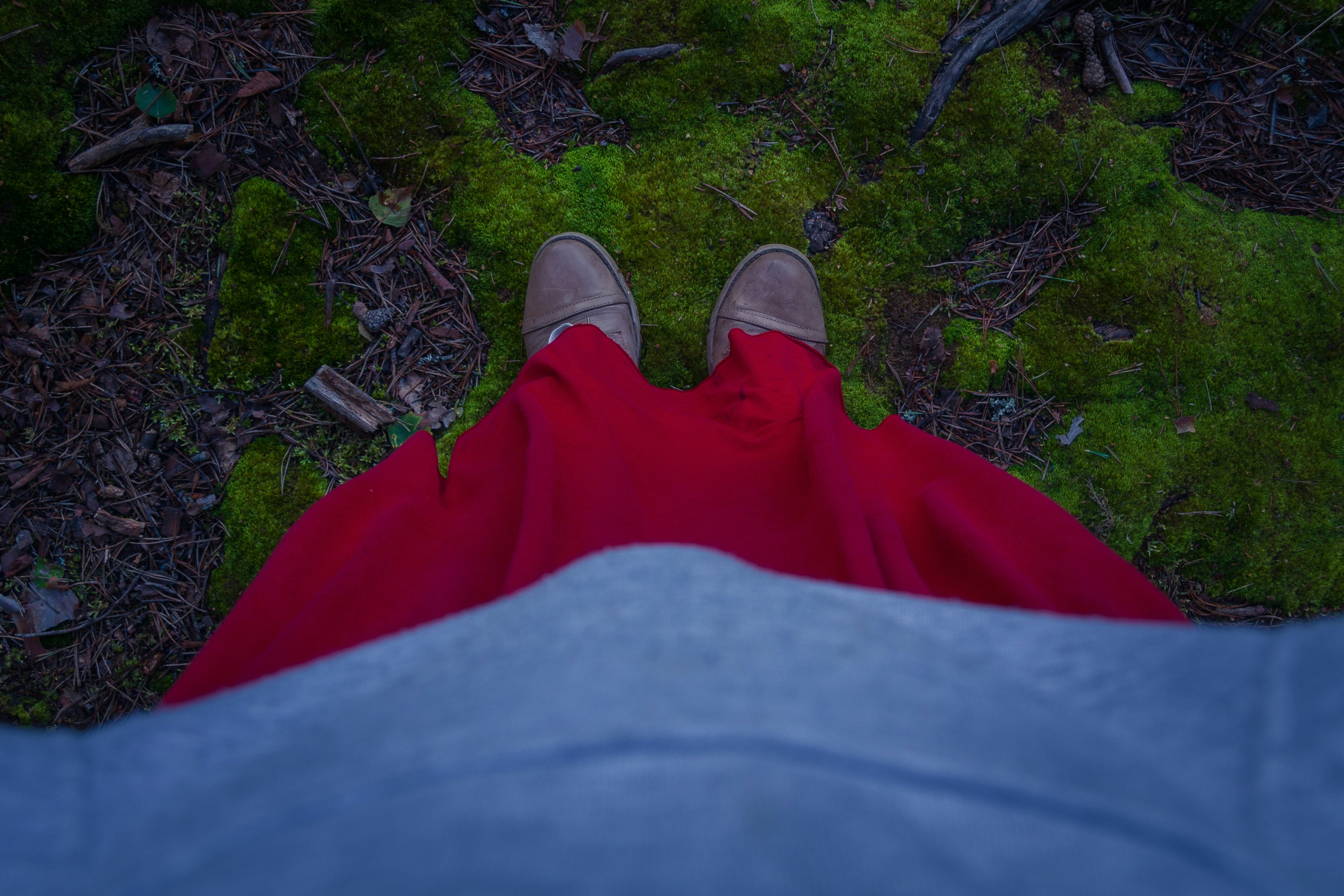 Red-skirted Path in Mossy Forest from a Ground-level Perspective