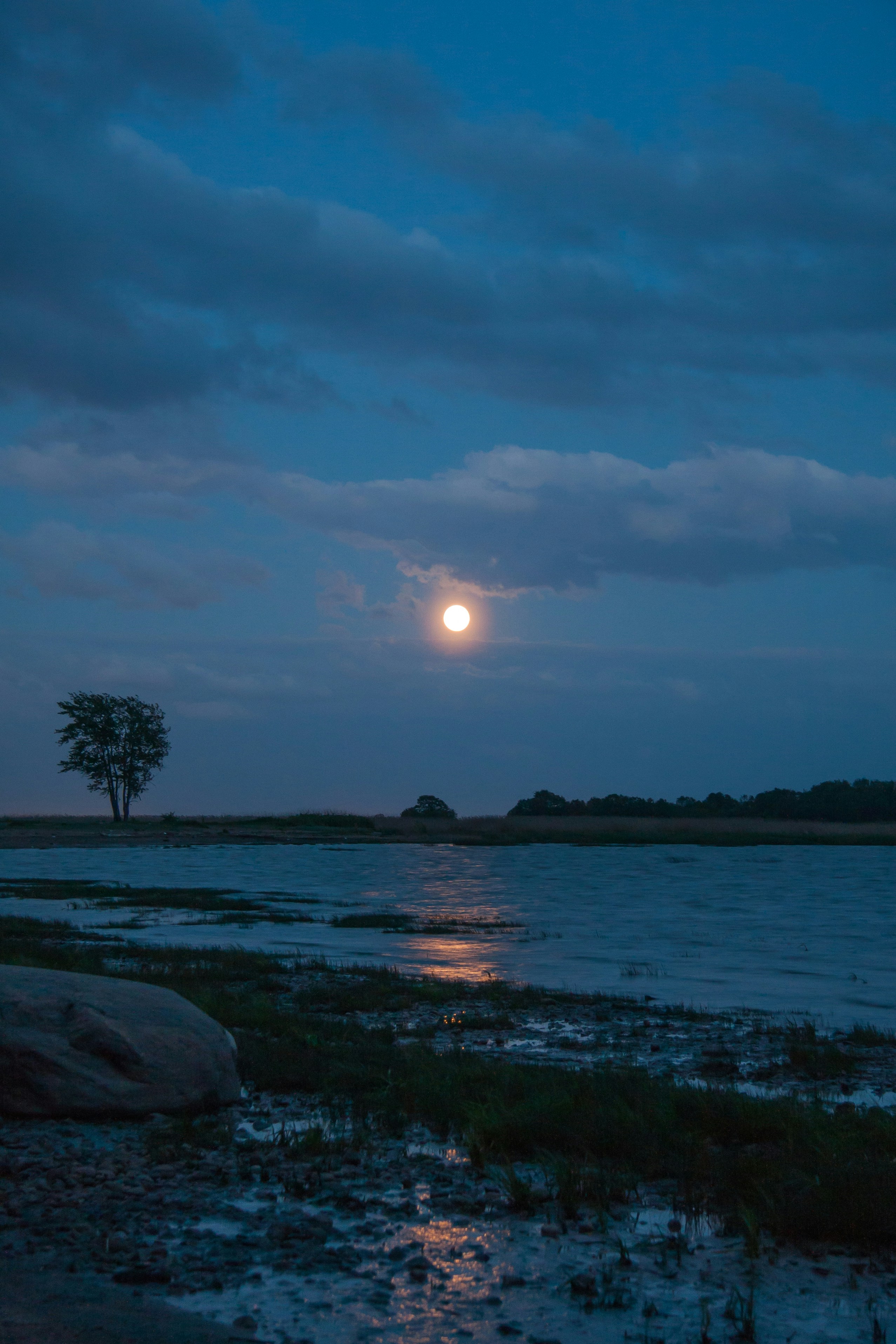 Moonrise Over Tidal Flats