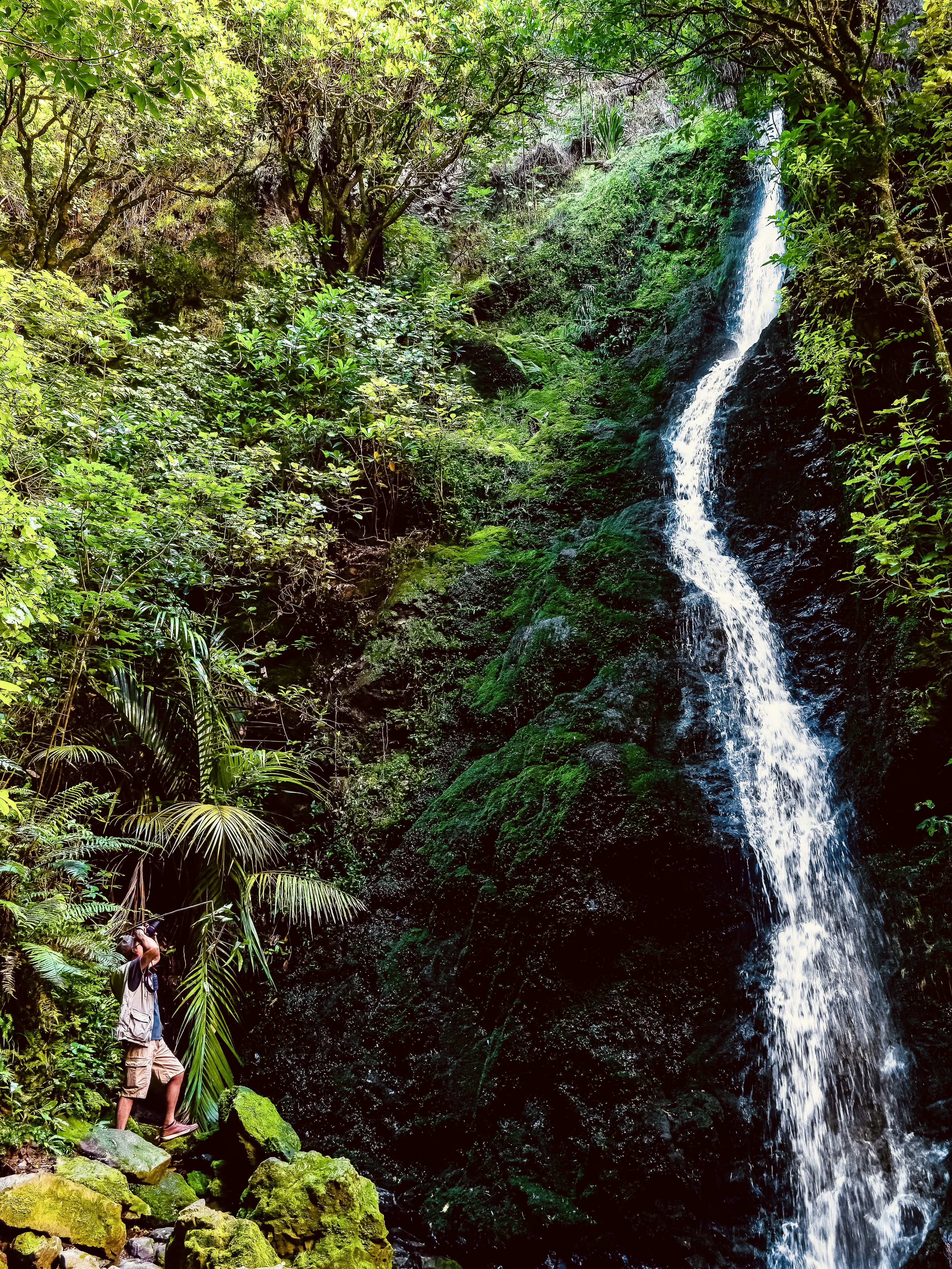 Hiker at the Edge: A Narrow Cascade in Dense Greenery