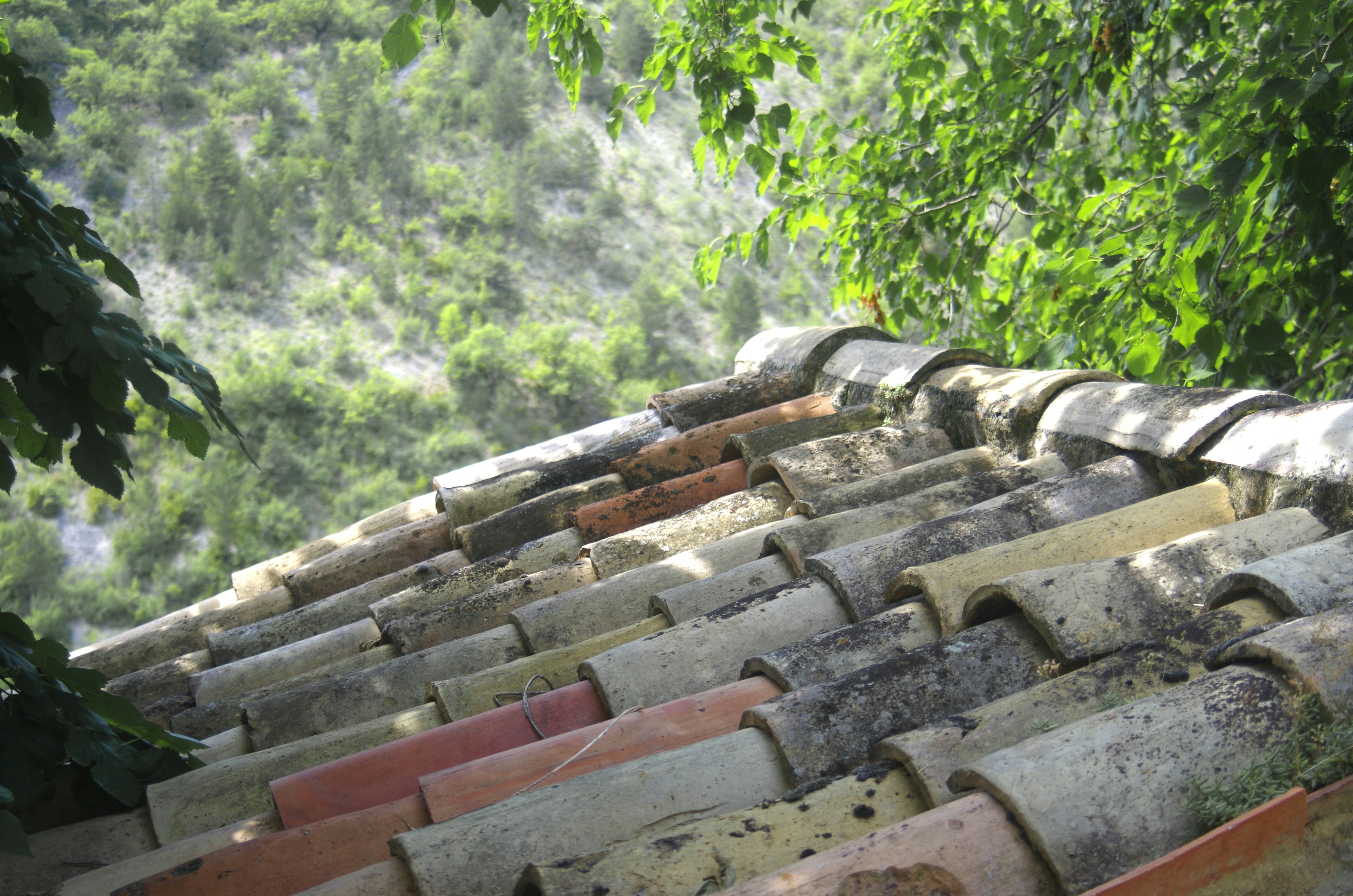 Terracotta Ridge: Sun-Weathered Roof Tiles in hillside Light
