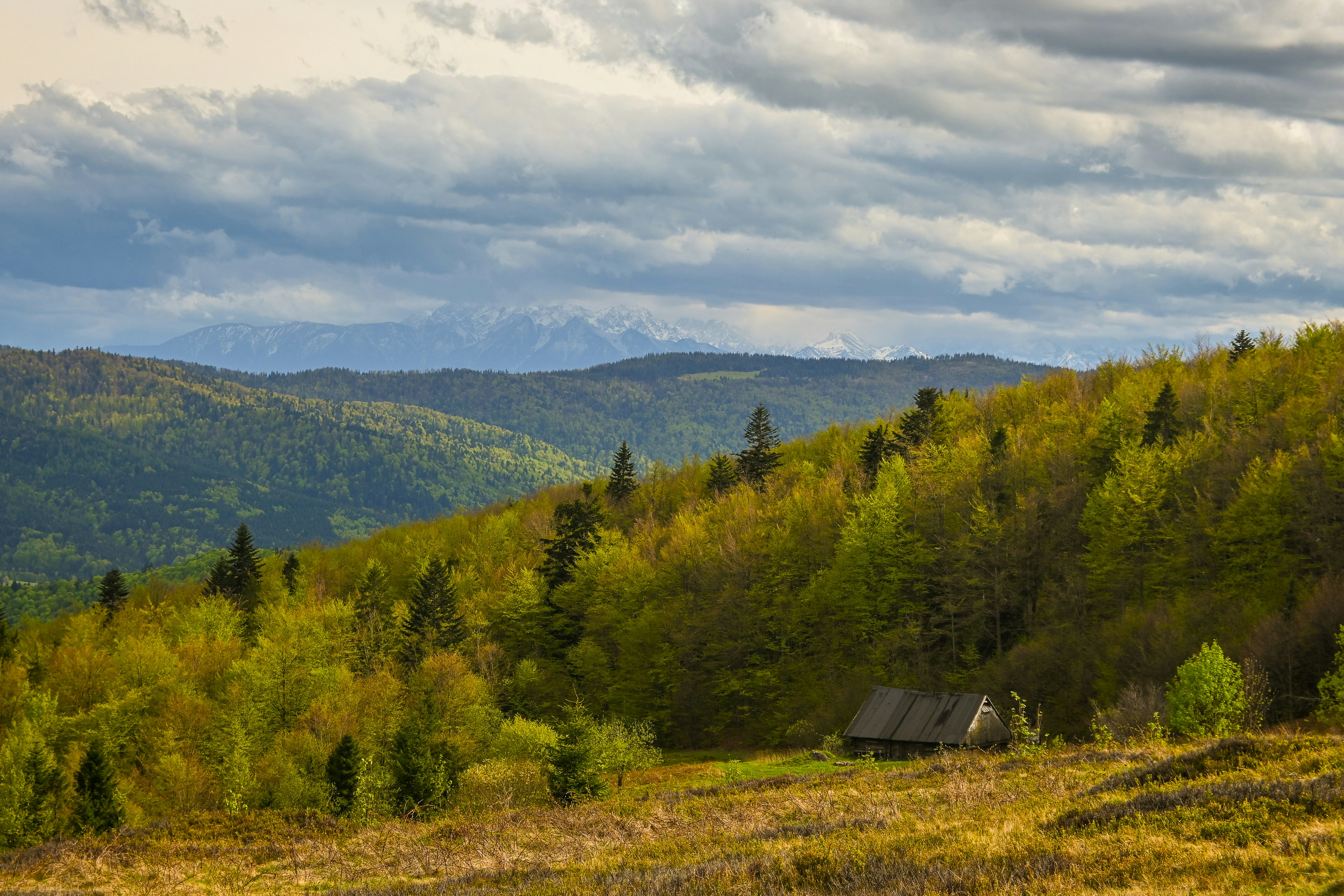 A small cabin sits amid rolling hills and a vibrant forest under a cloudy sky, offering a peaceful rural landscape.