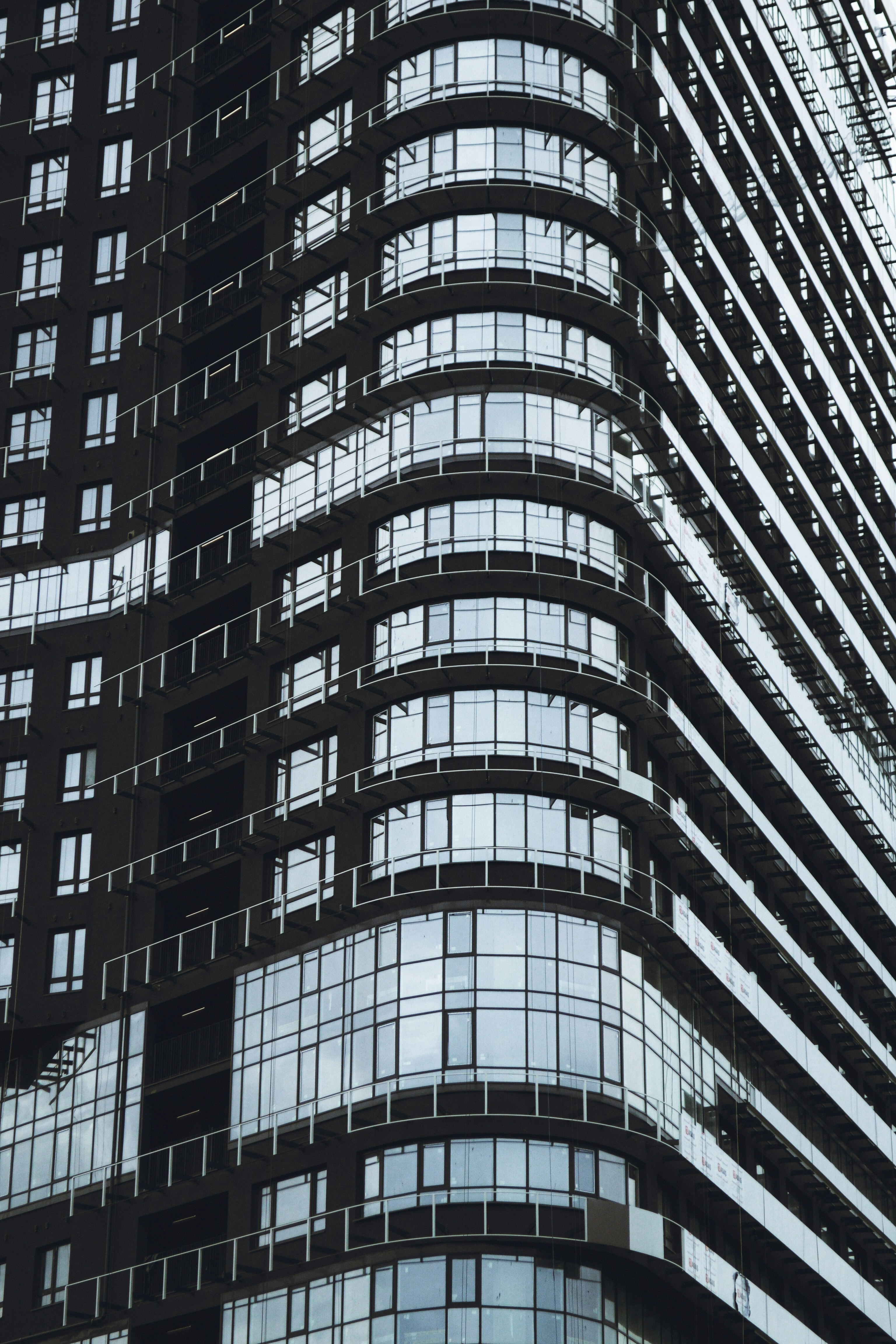 Curved Glass Facades: A Monochrome Wave of Modern Architecture
