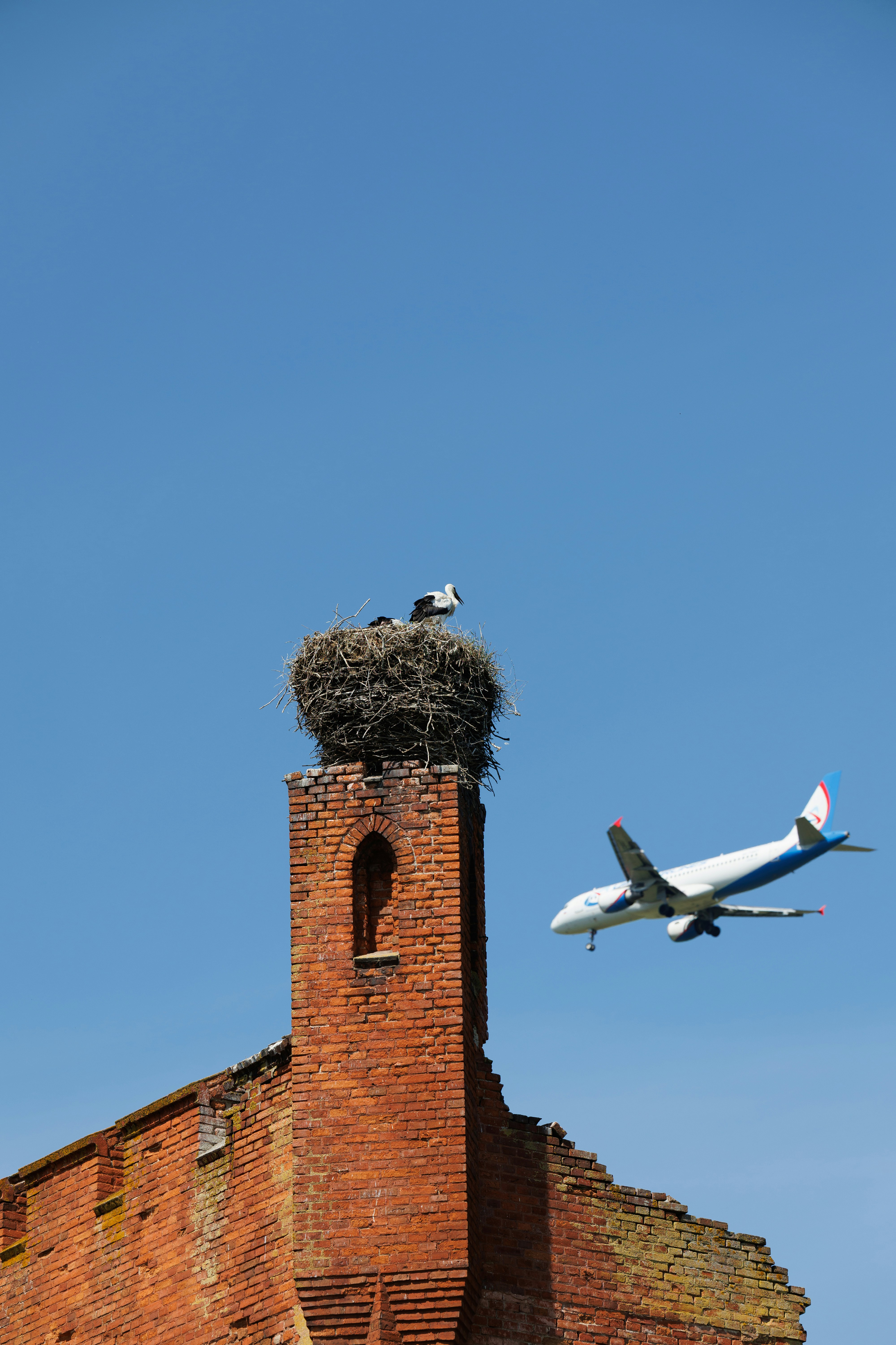 Nest Above the Brick Bell Tower as a plane Rails by