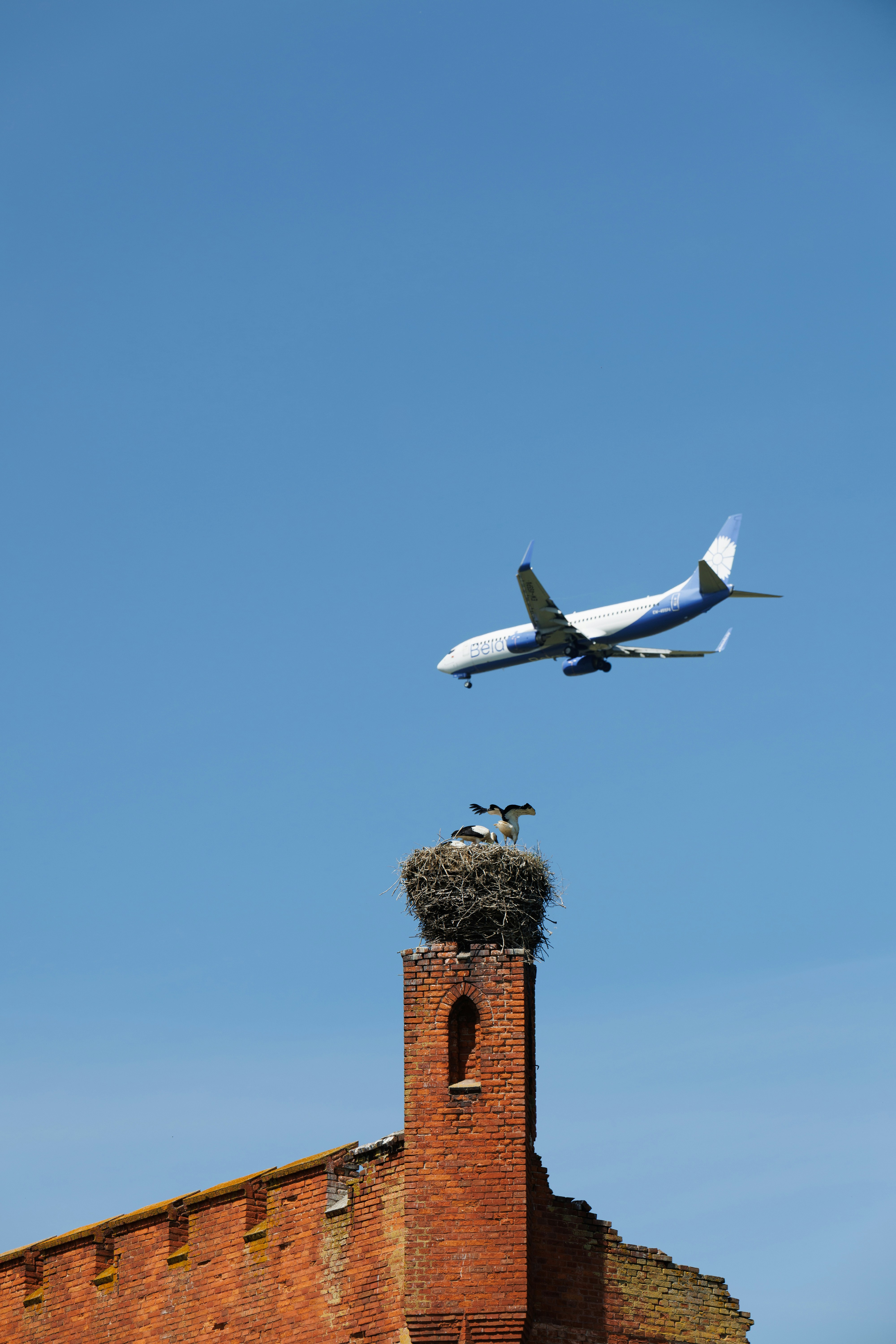 Sturdy brick chimney with a bird nest atop, and a passenger plane passing overhead against a clear blue sky.