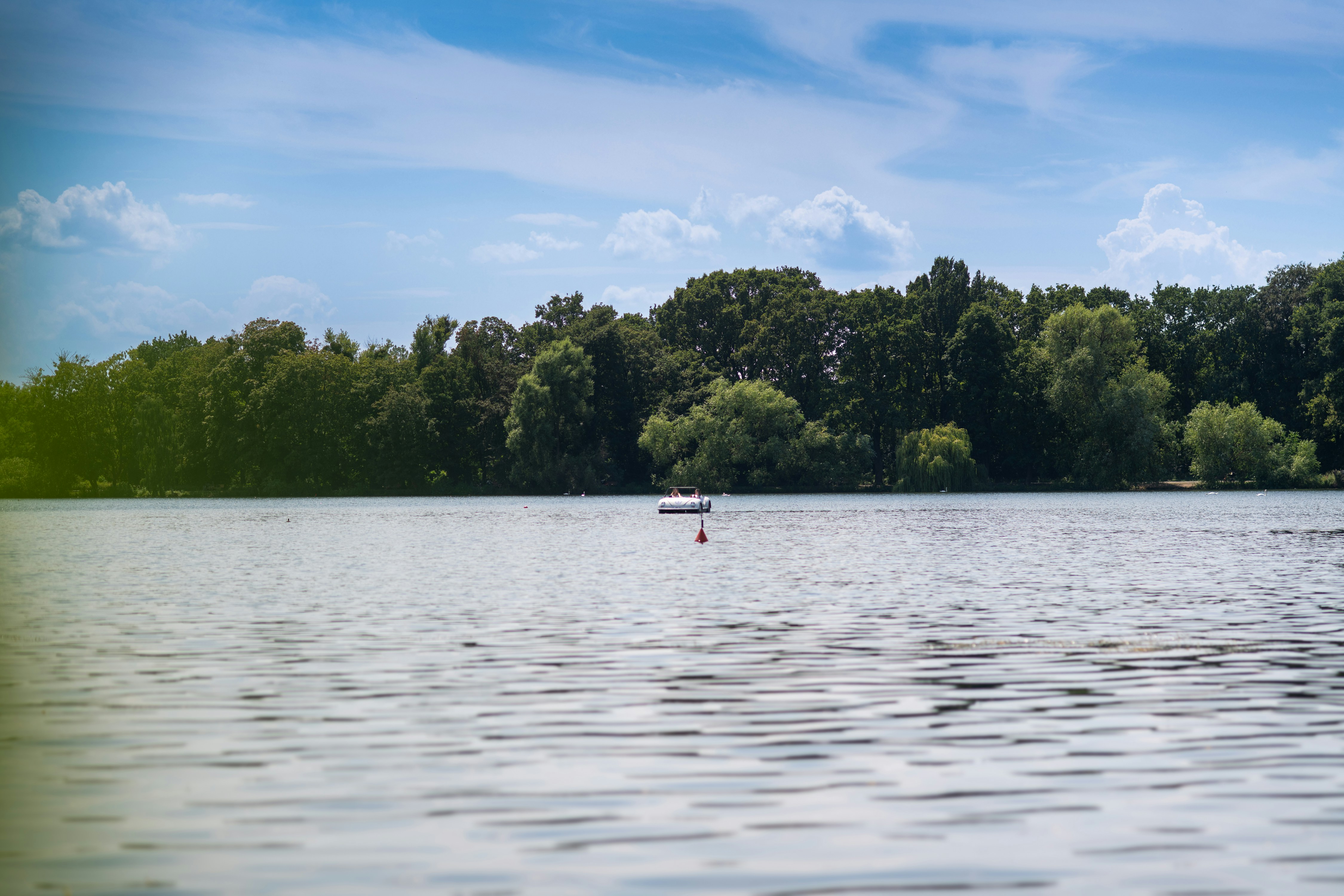 Single Sail Beneath a Quiet Woodland Sky