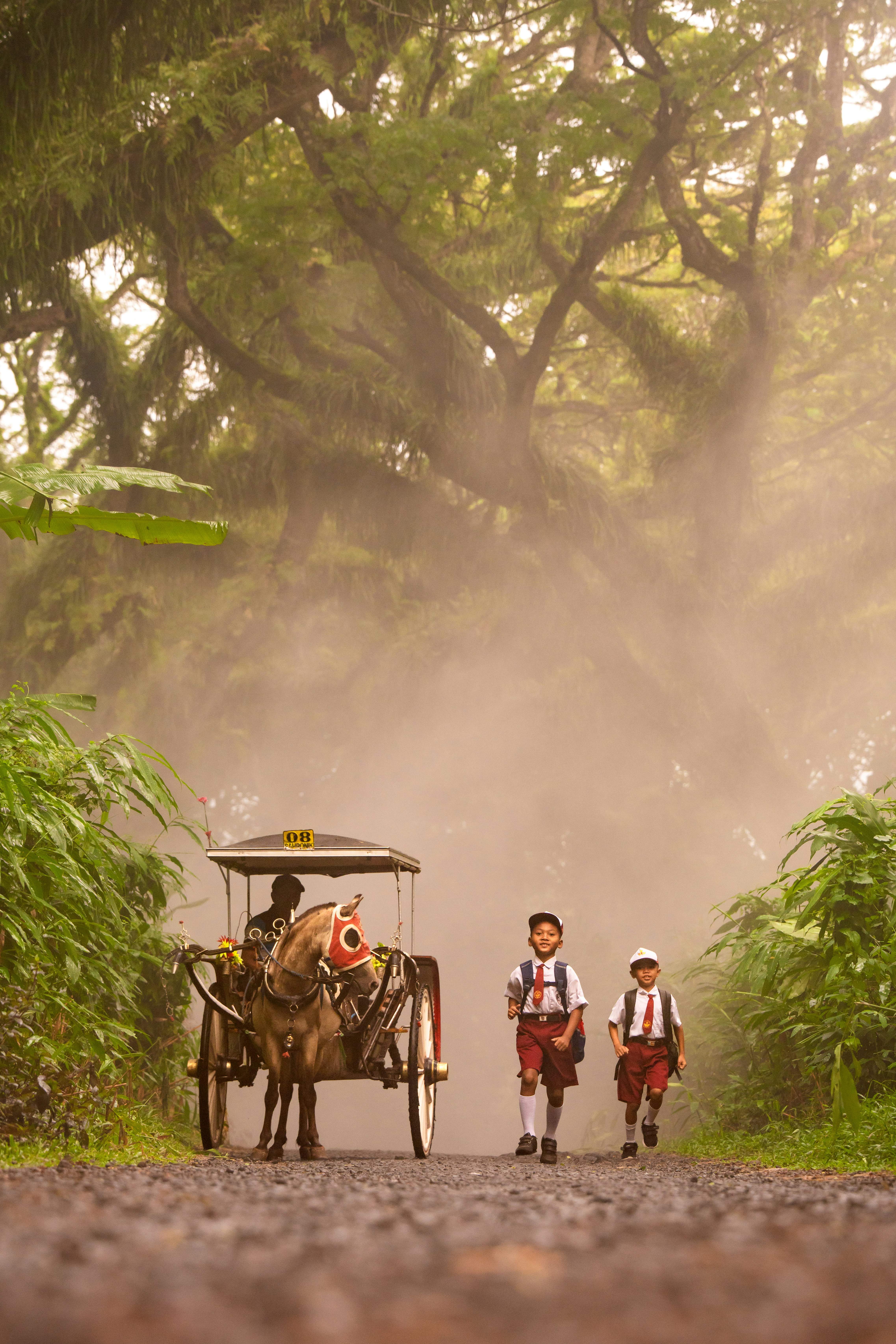 Peril in the Clearing: Youthful Choir and Horse-Drawn Cart Traverse a Foggy Path