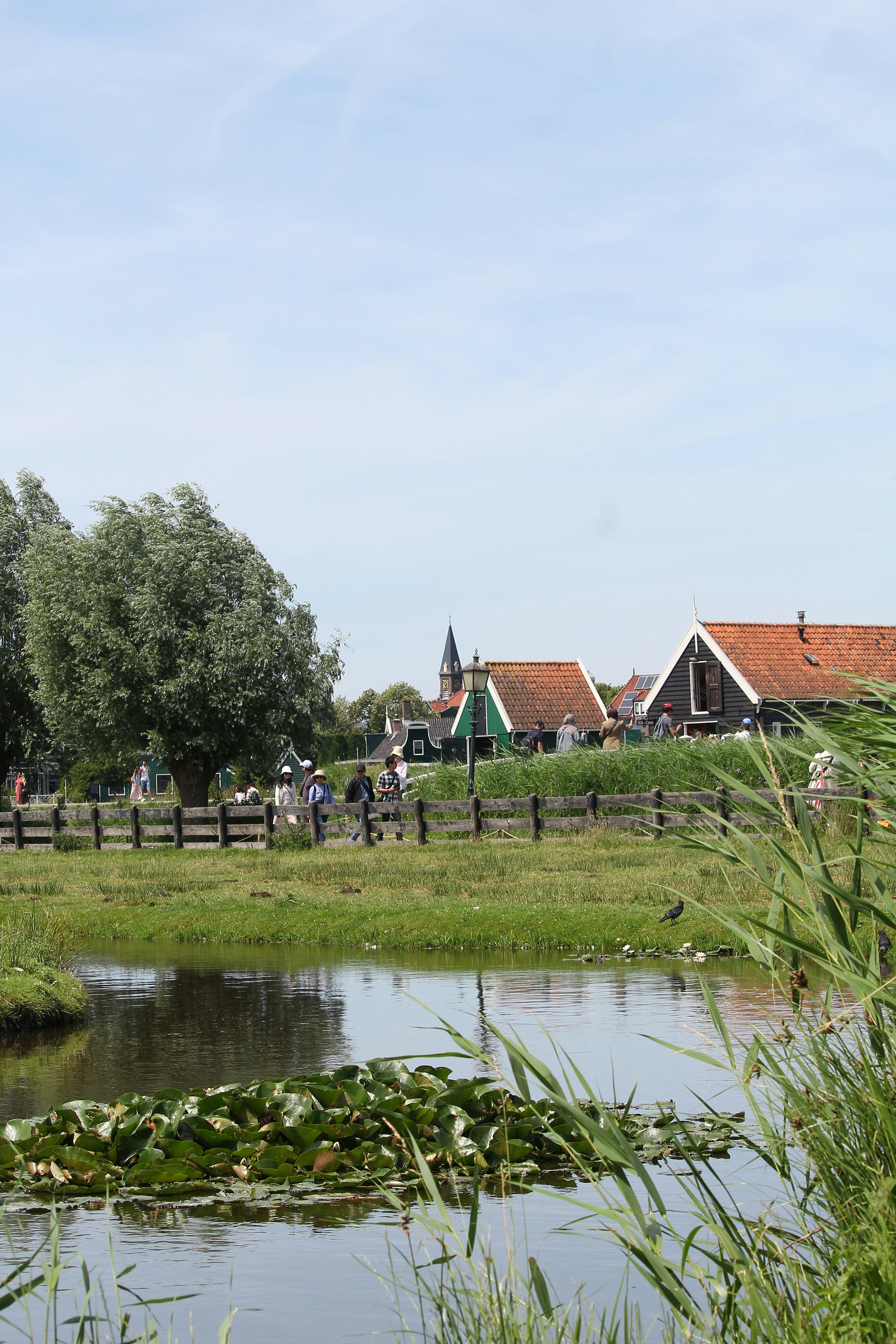 Pastoral panorama with waterfront ducks and a village