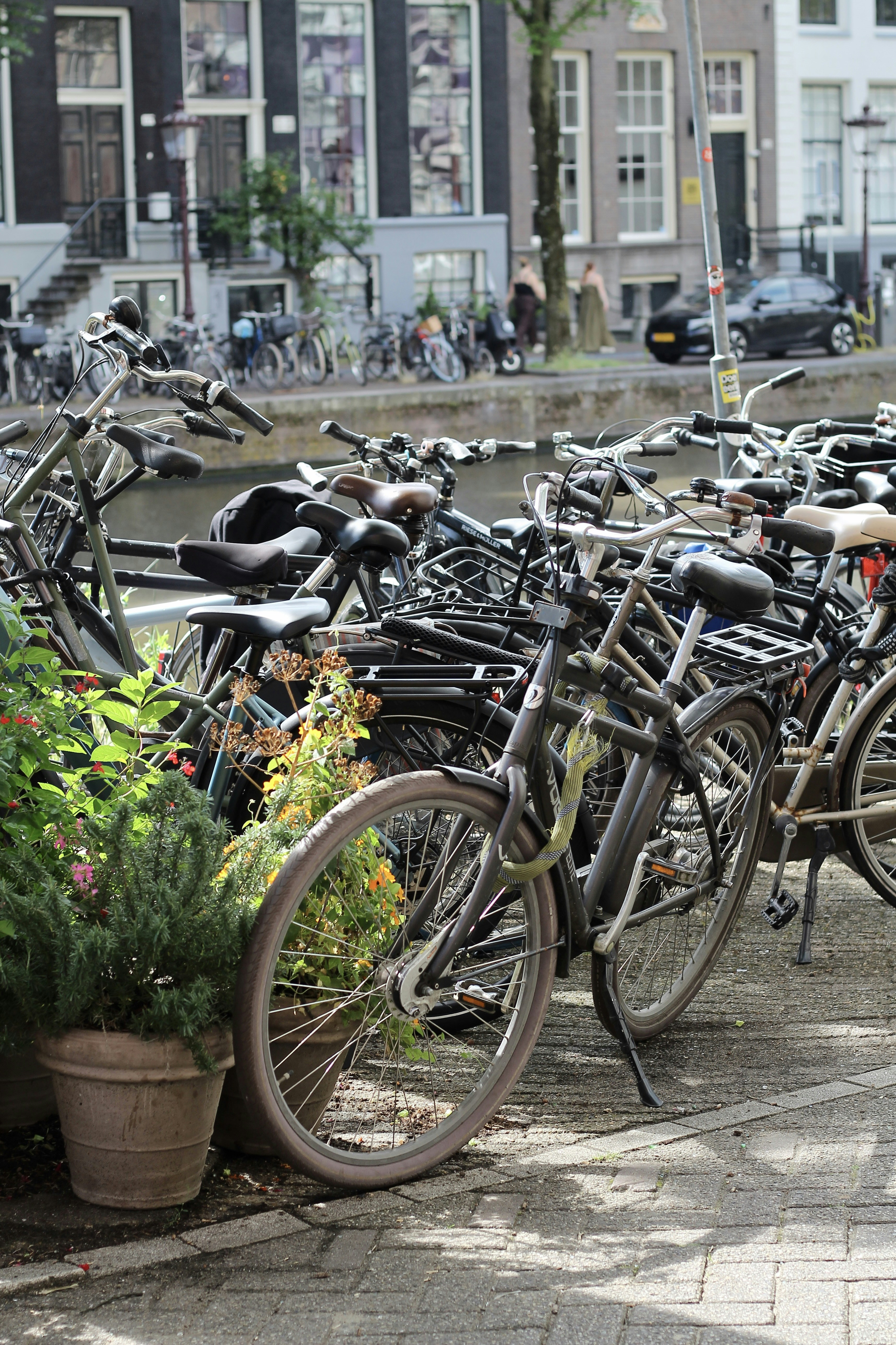 Bicycles in a Canal City Frame: A Quiet Alley of Racks and Pots