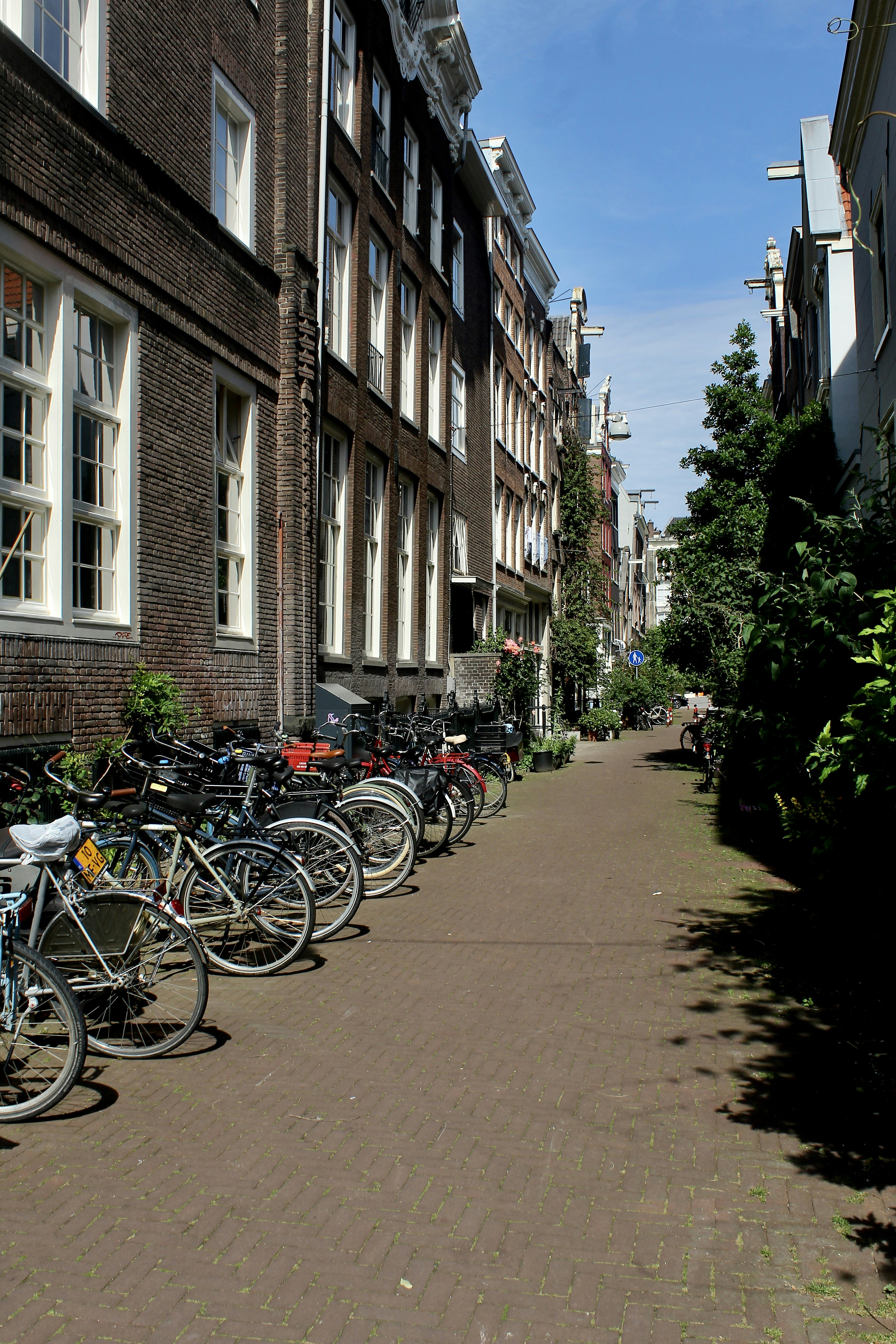 Cobbled Alleyway Renewed by Bicycles and Afternoon Light