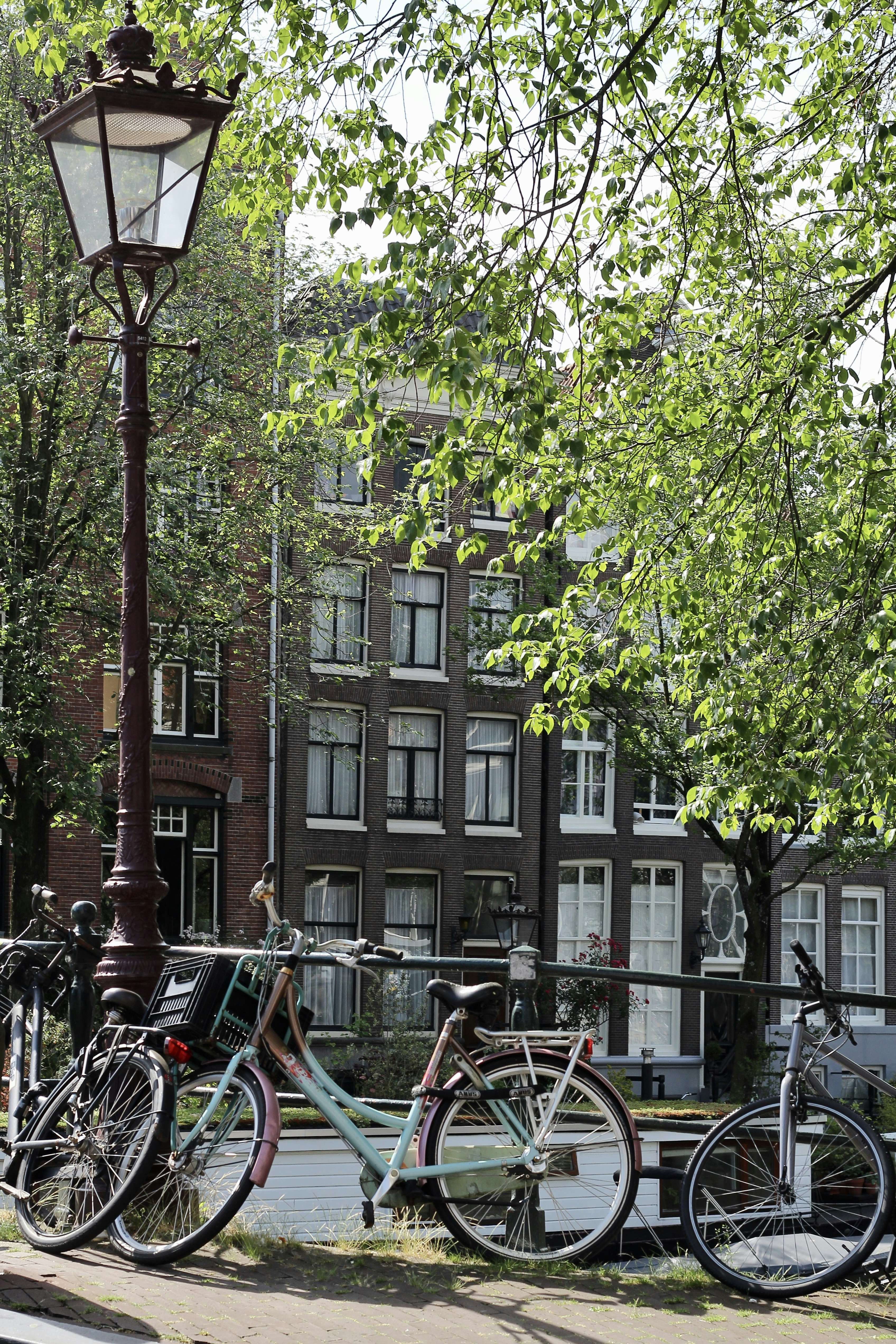 Bikes Resting by a Sunlit Amsterdam-Style Canal