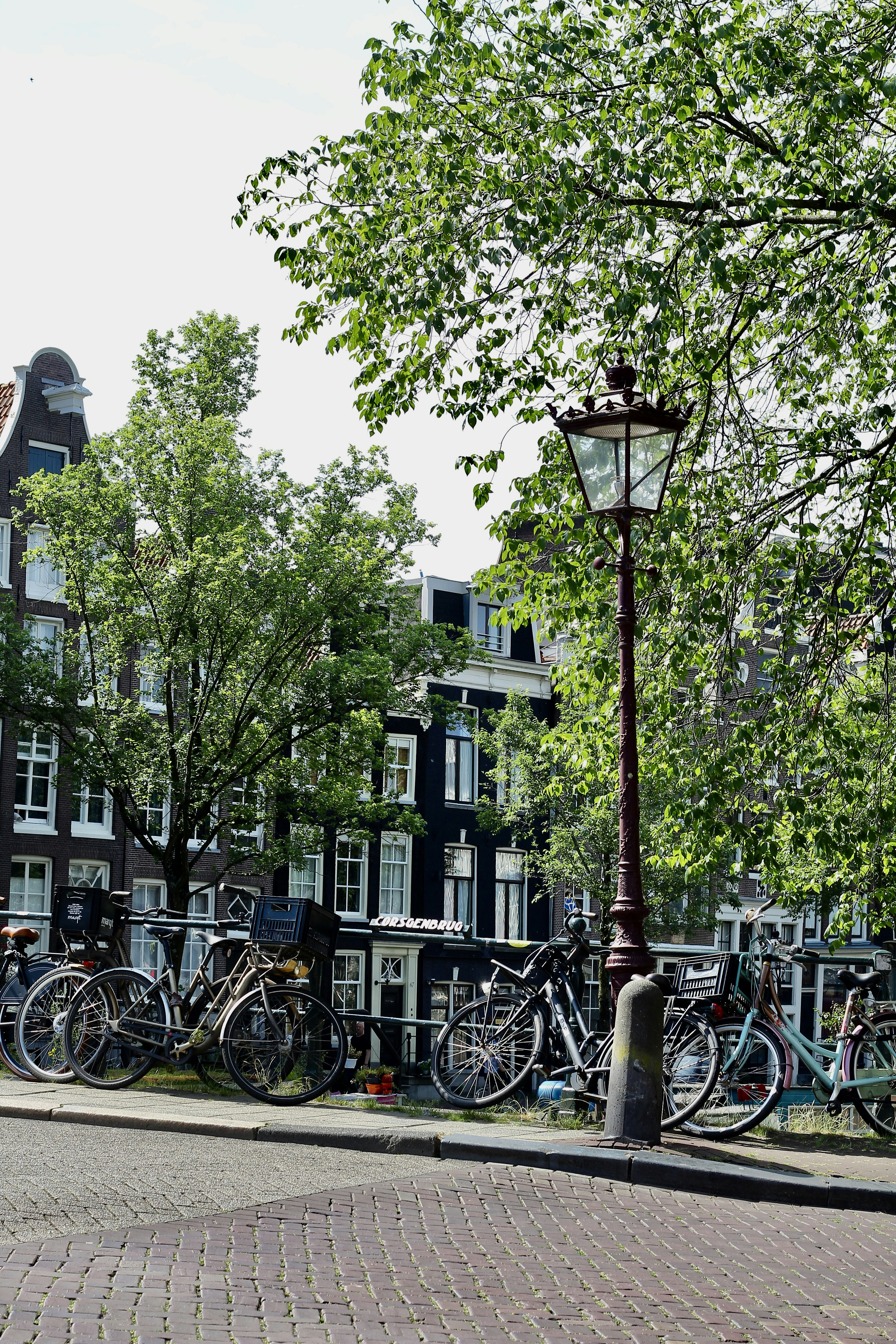 Low-angle Street Scene with Bicycles and a Vintage Lamp in Afternoon Light