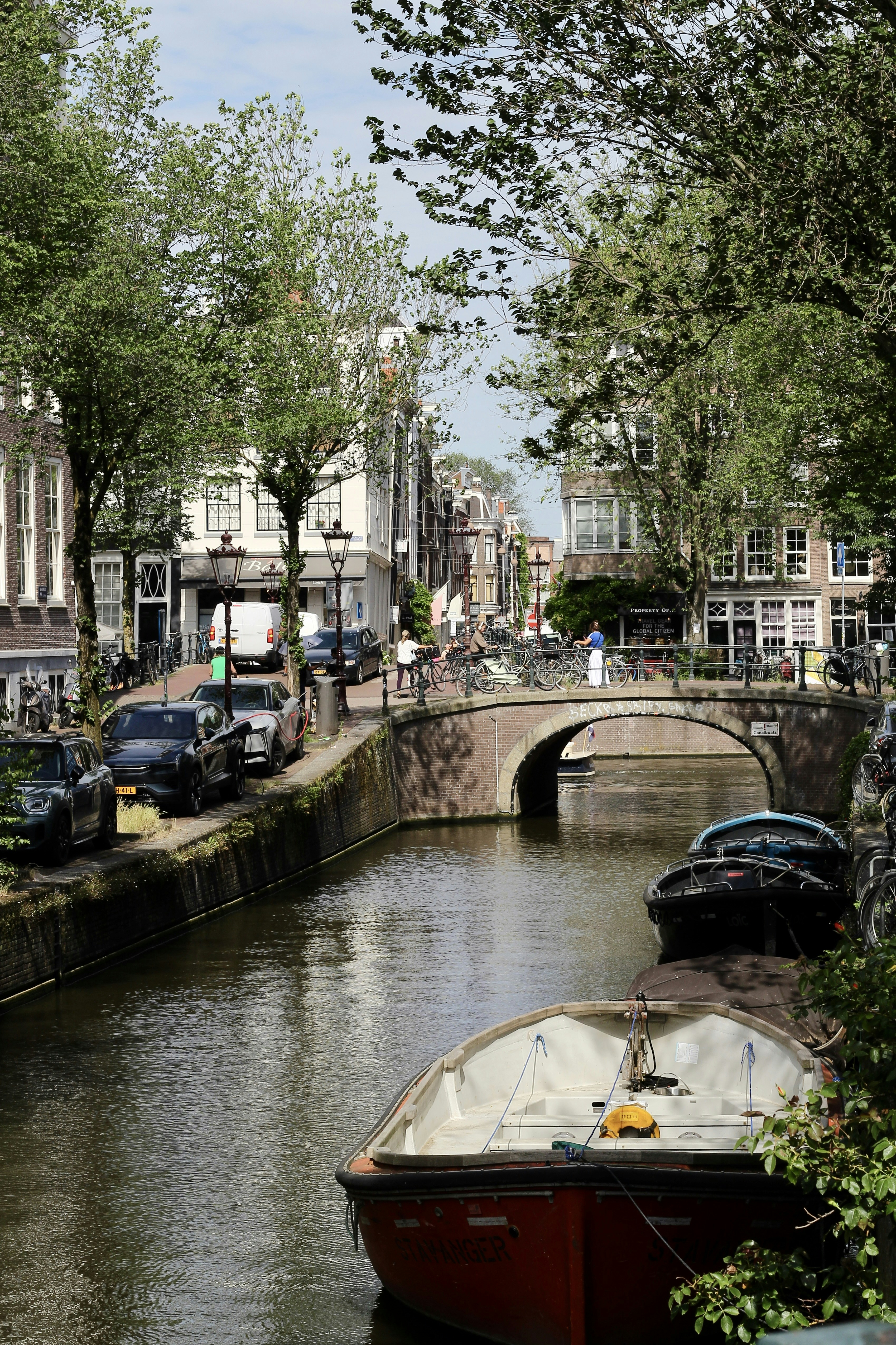 City Canal Portrait: Boats, Bridge, and Blooming Trees