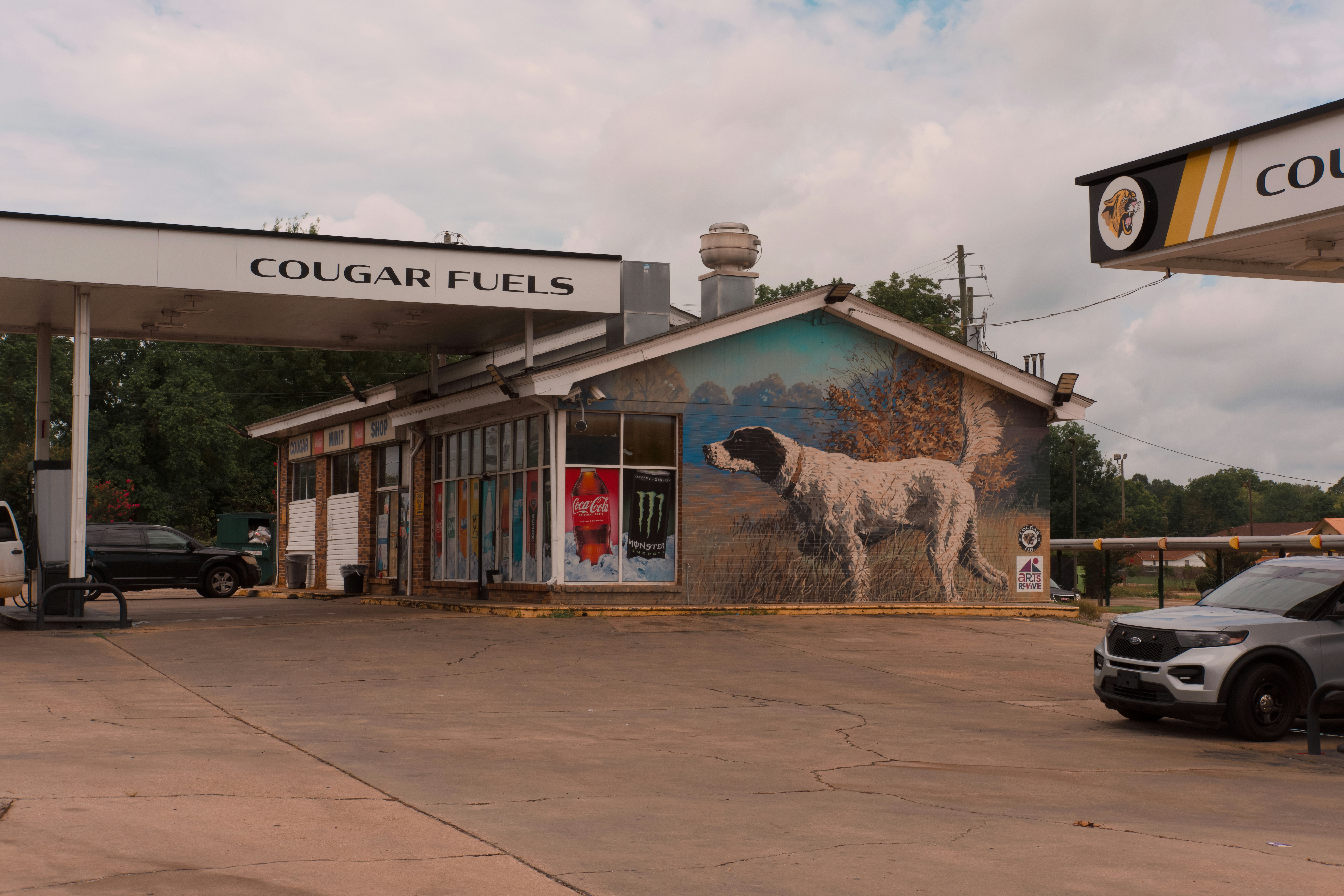 Desert Stop at a Muraled Gas Station