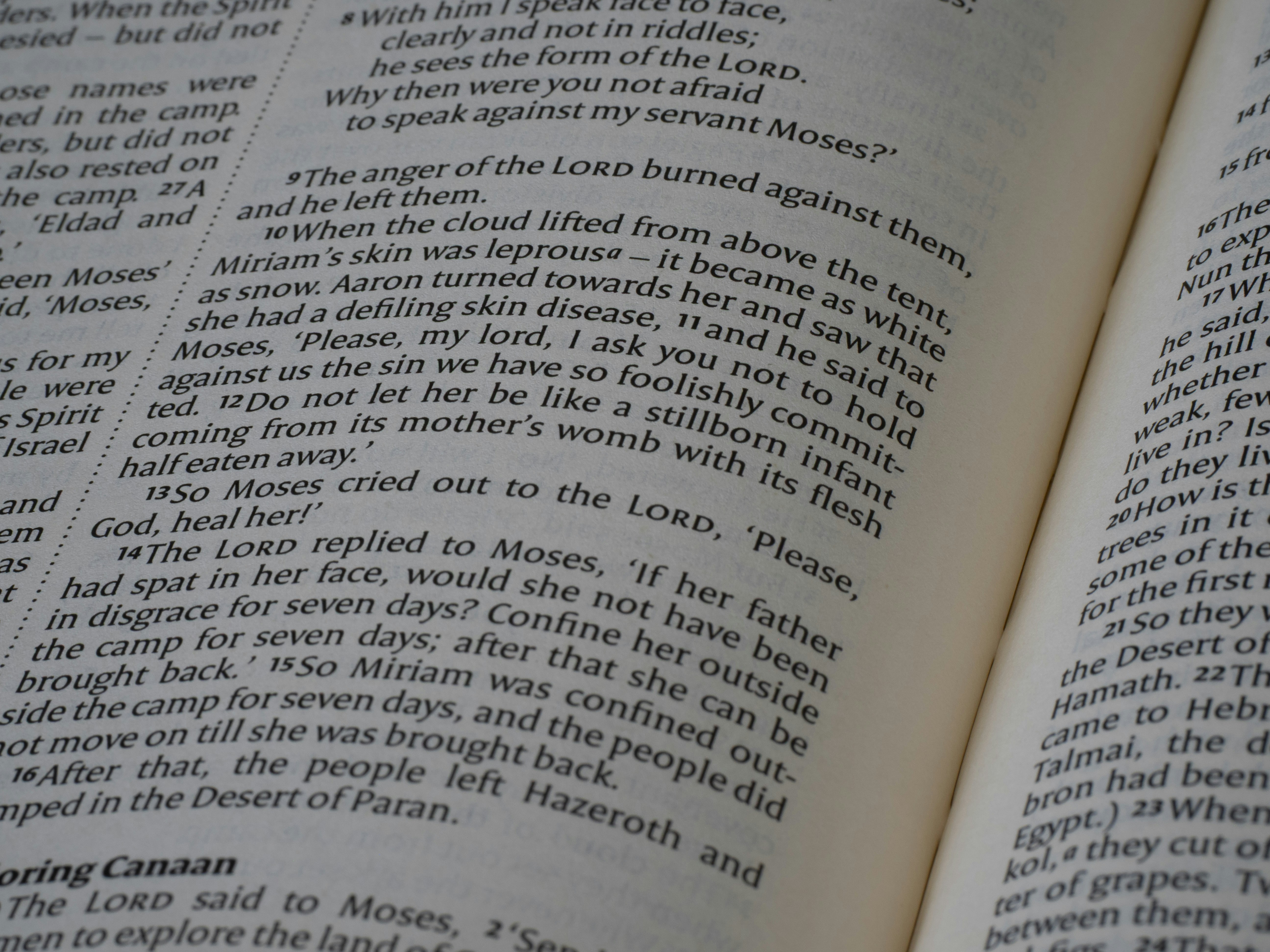 The Book of Numbers