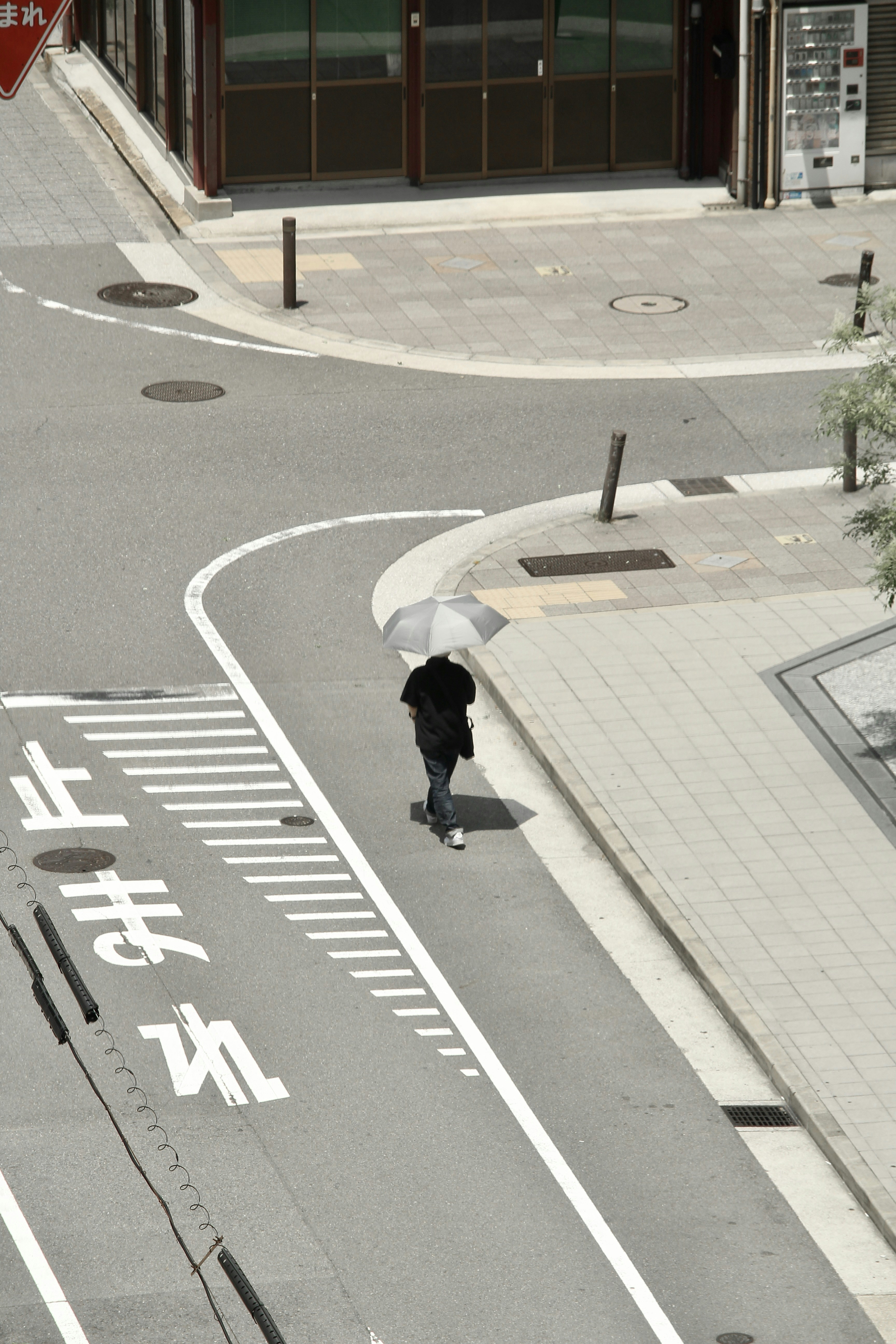 Umbrella on the Crosswalk: A Quiet Street Moment