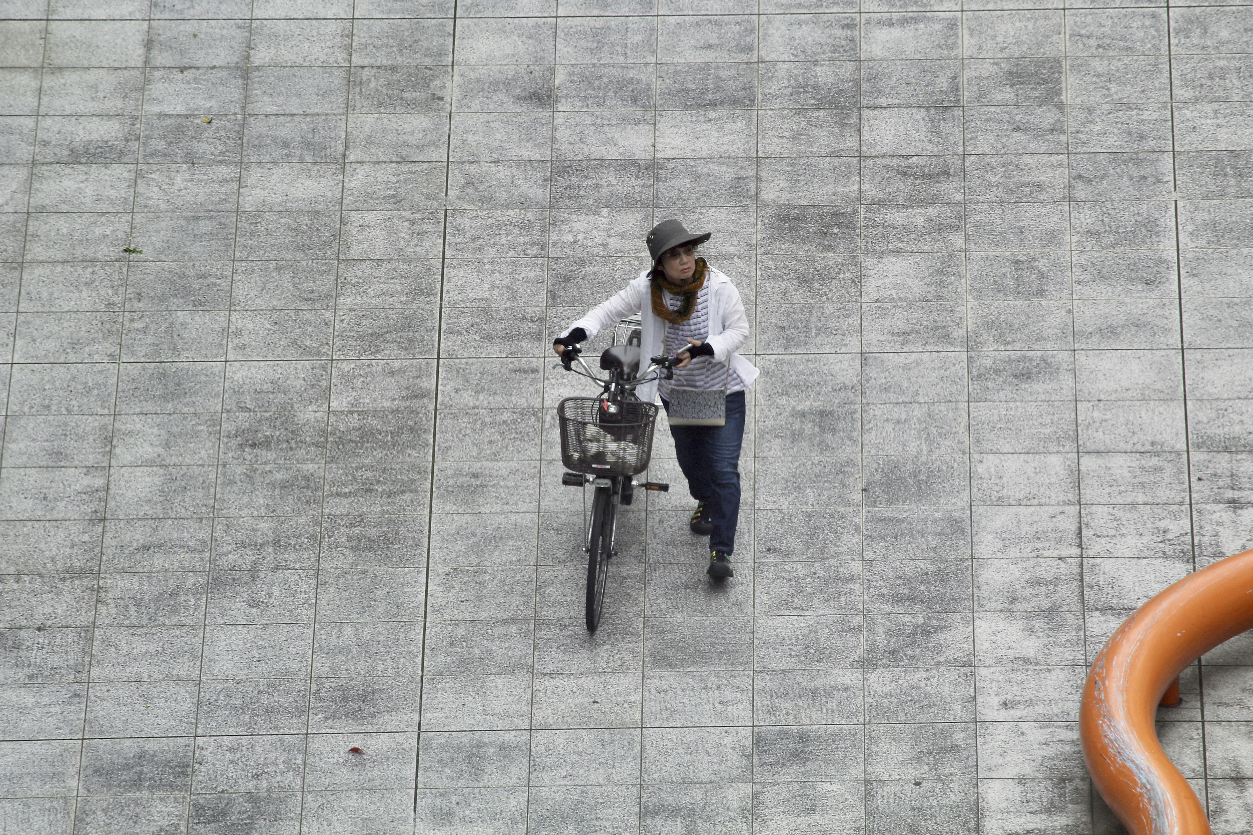 A Pedestrian in a Concrete Matrix: The Bicycle Moment
