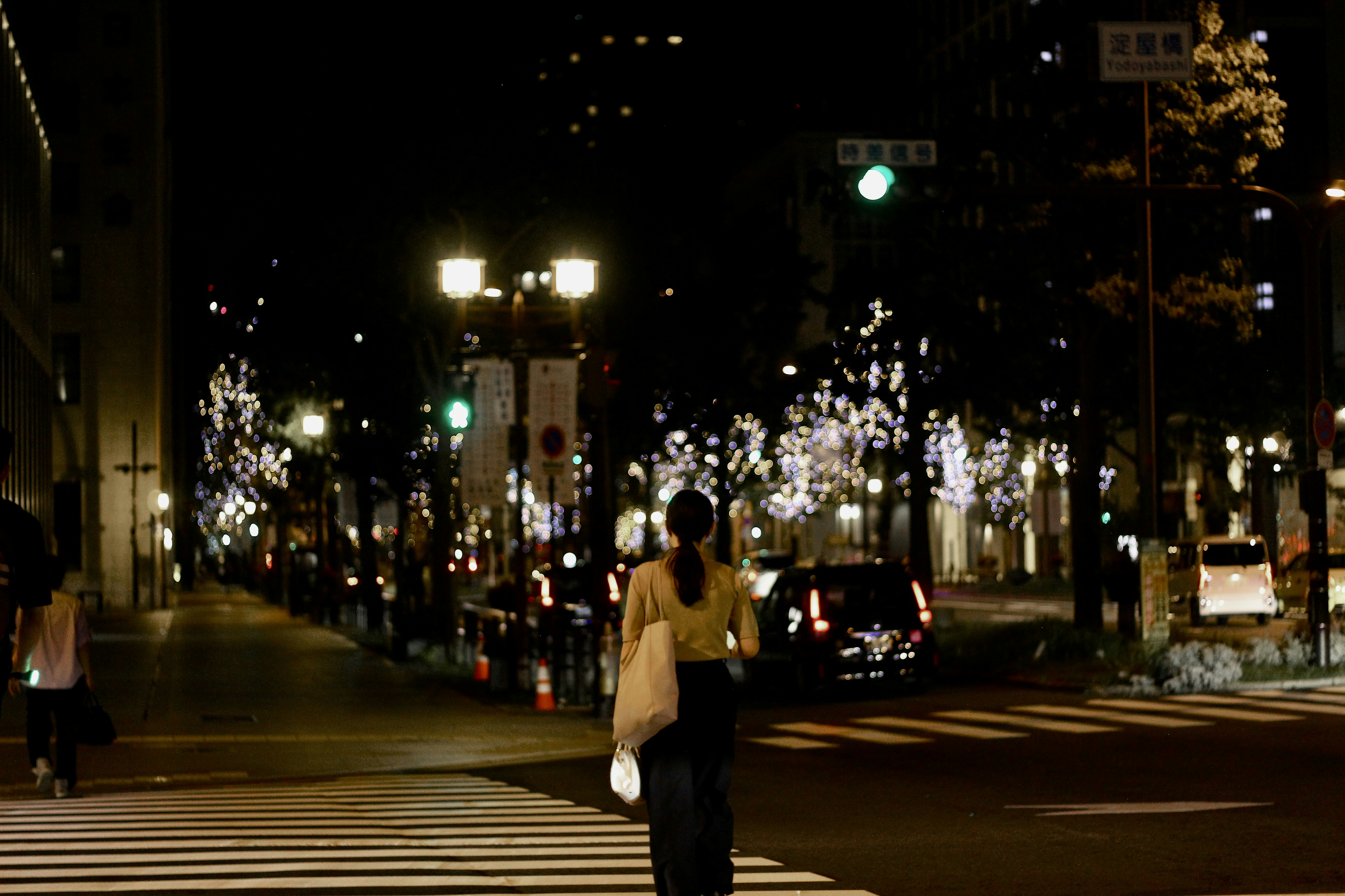 Night Crossing: A Pedestrian Walks Toward the Neon Arbor
