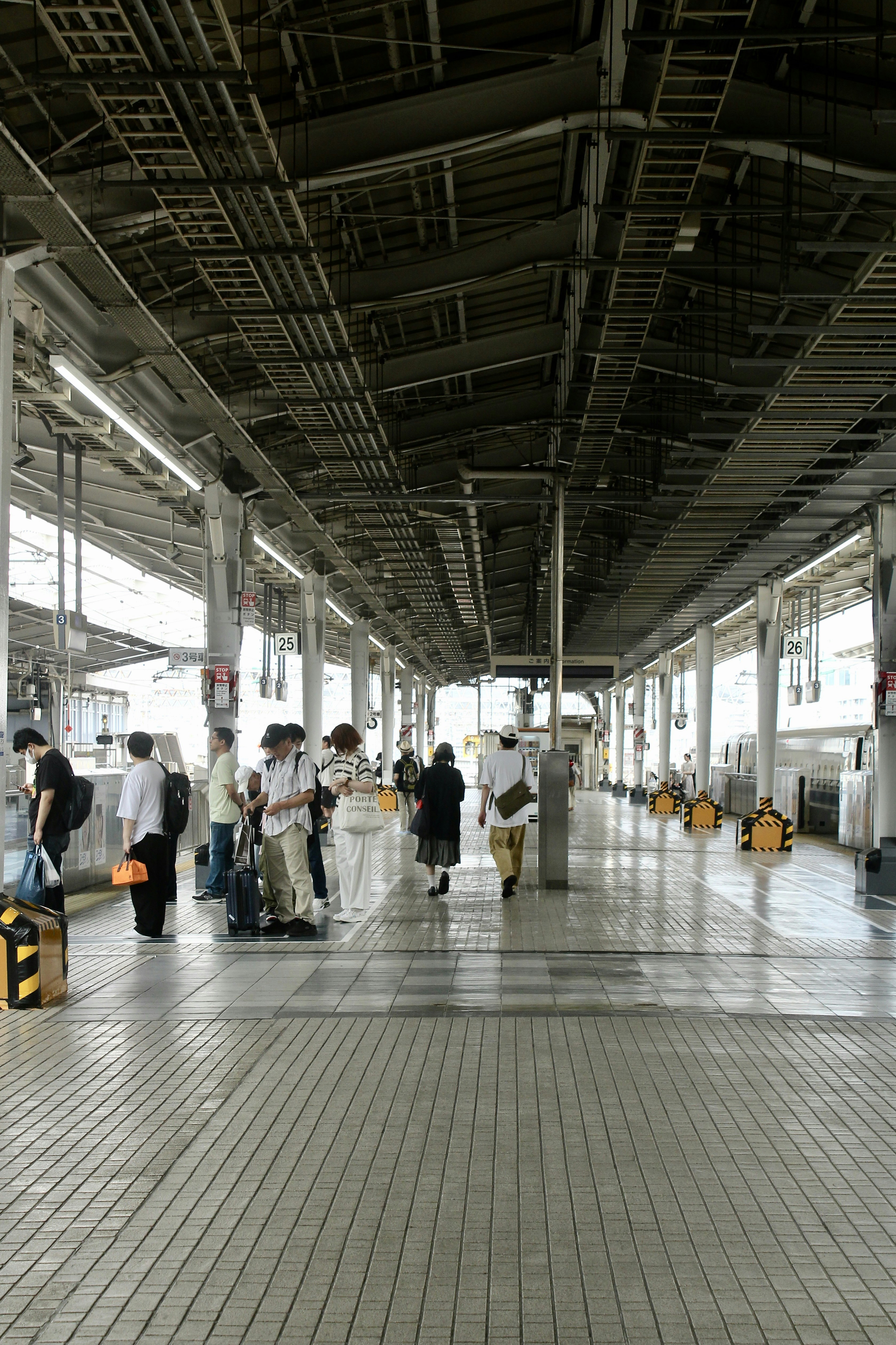Platforms of Passengers: A Quiet Moment in a Busy Rail Terminal